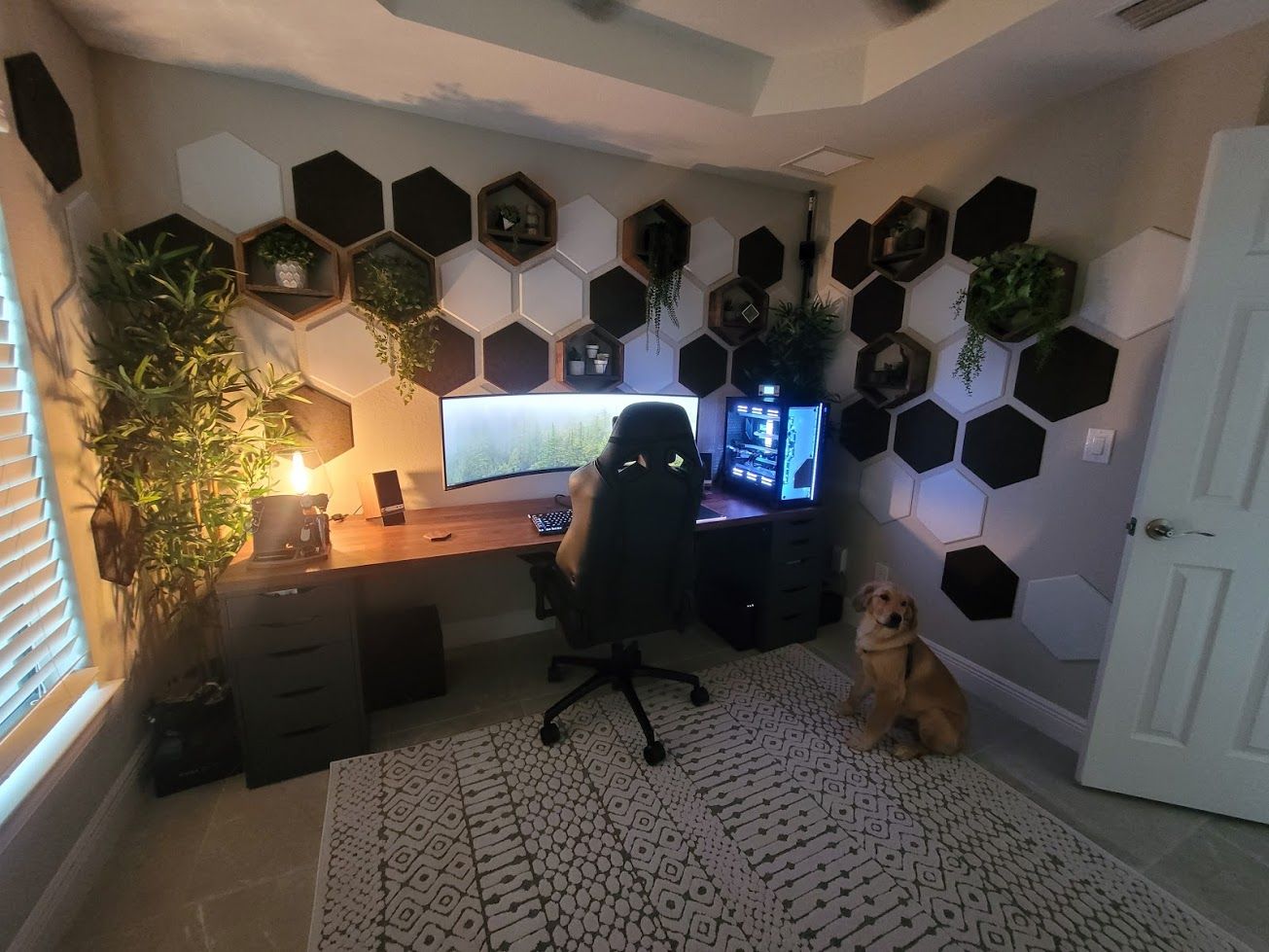 Puppy approves the new layout | Scrolller