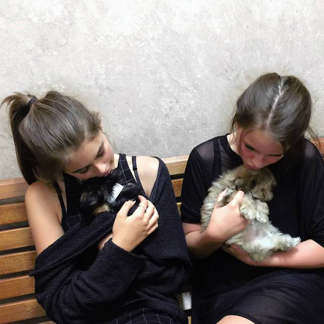 Puppy Love | Scrolller