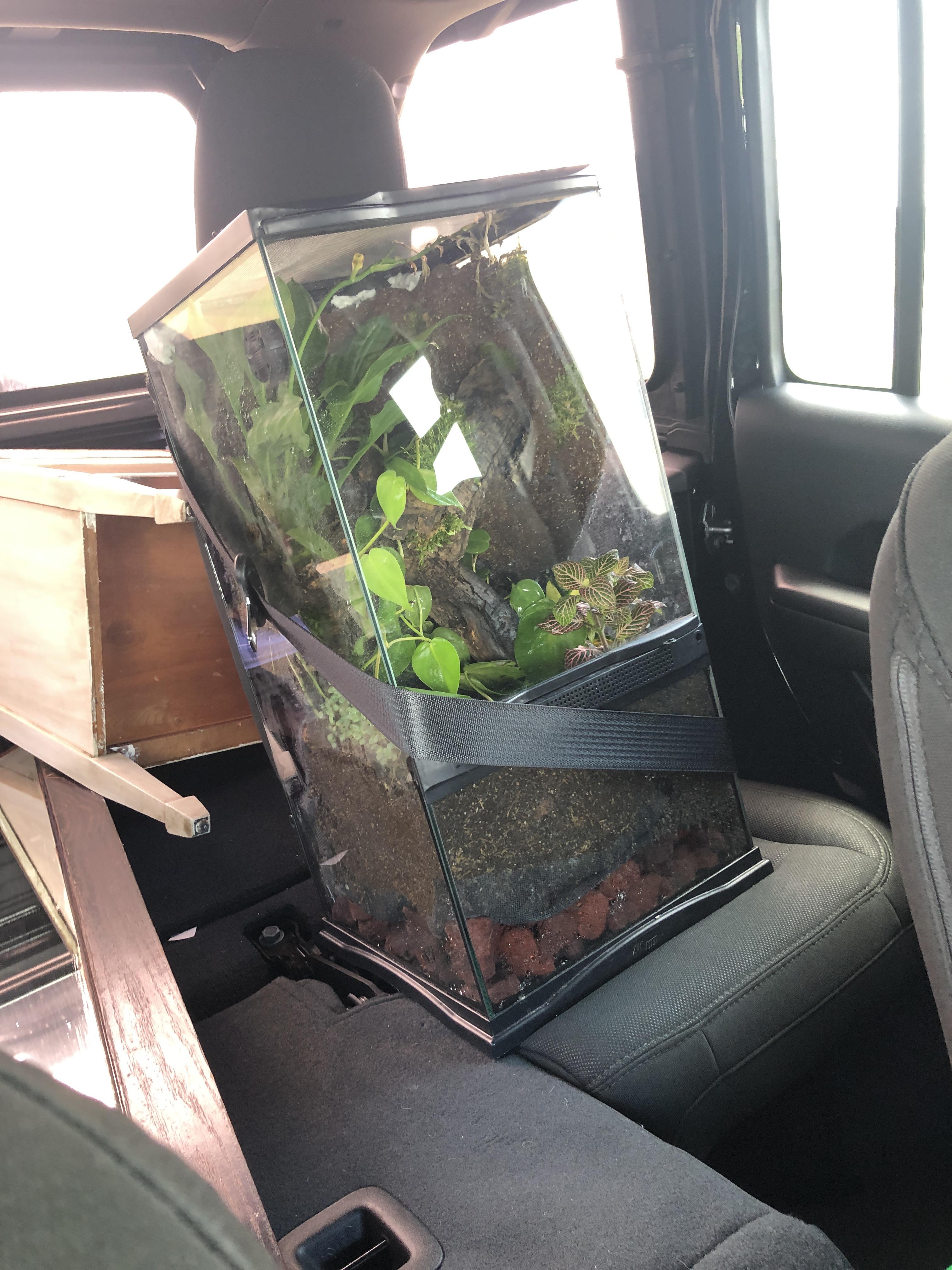 Pure anxiety. | Scrolller