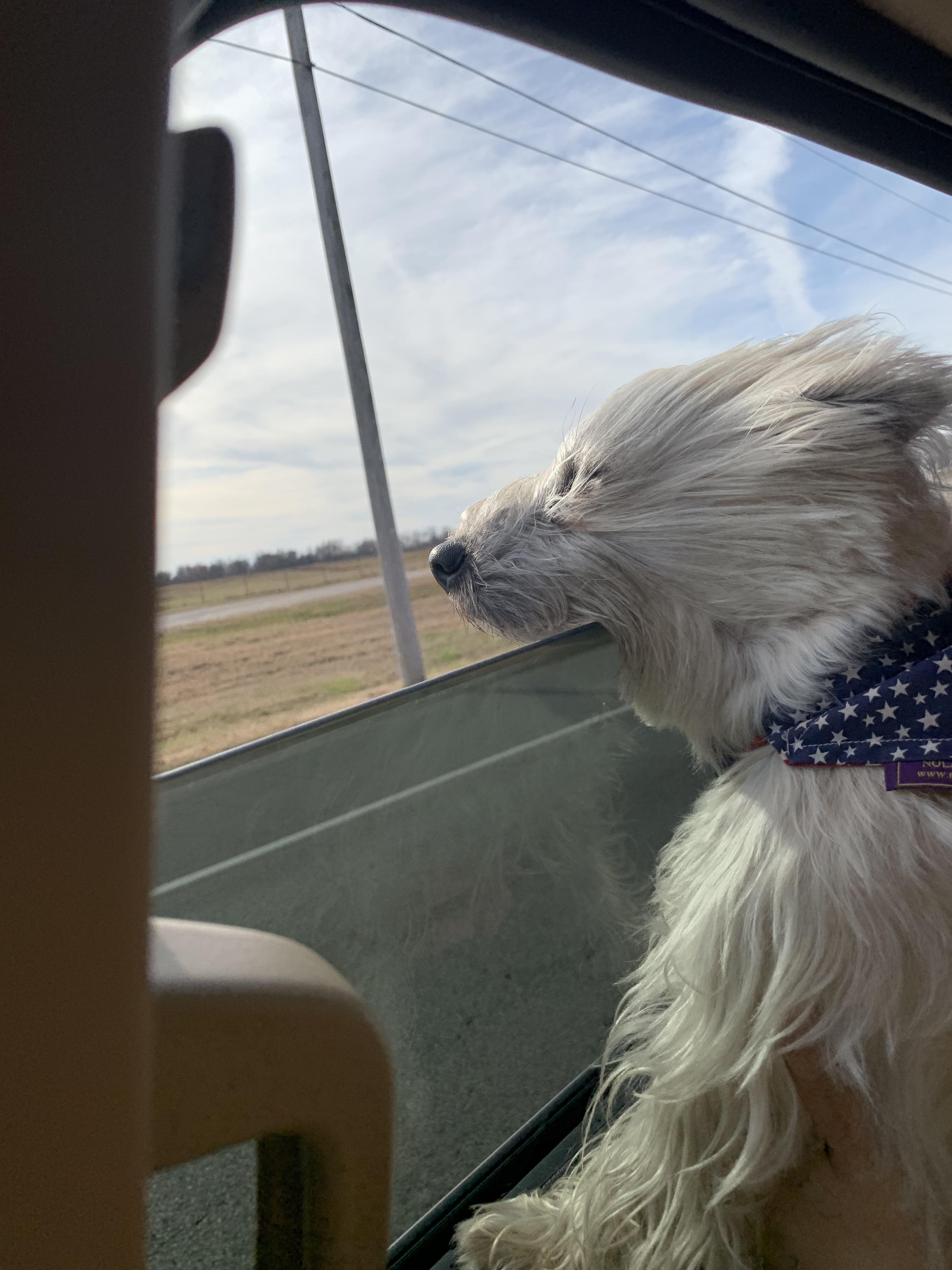 Pure Joy... | Scrolller