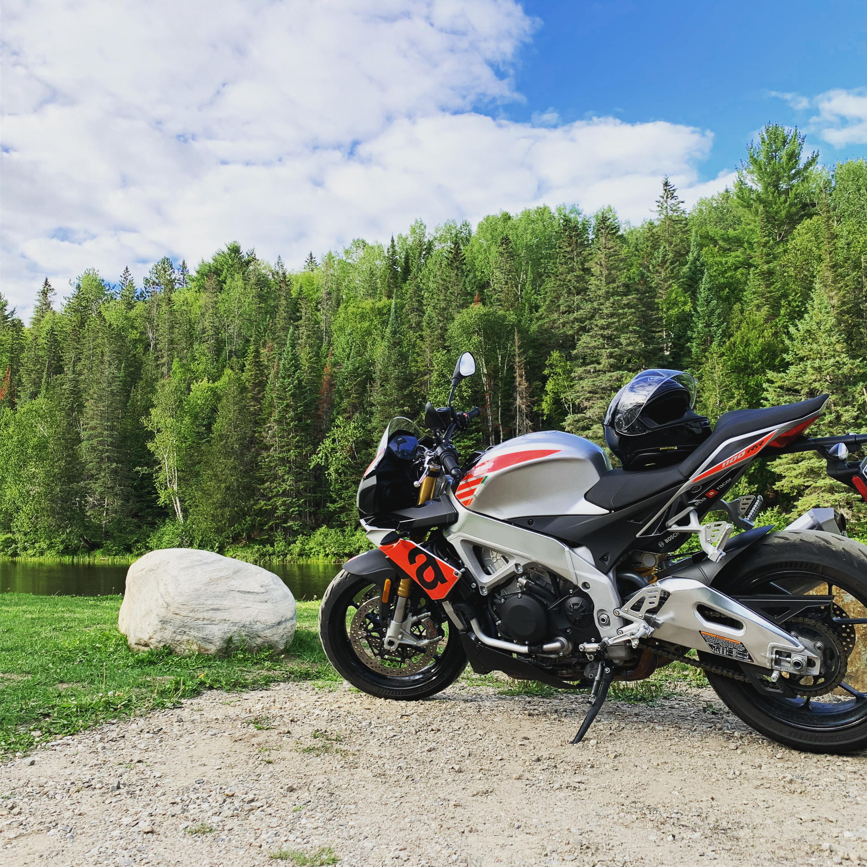 Pure joy ! | Scrolller