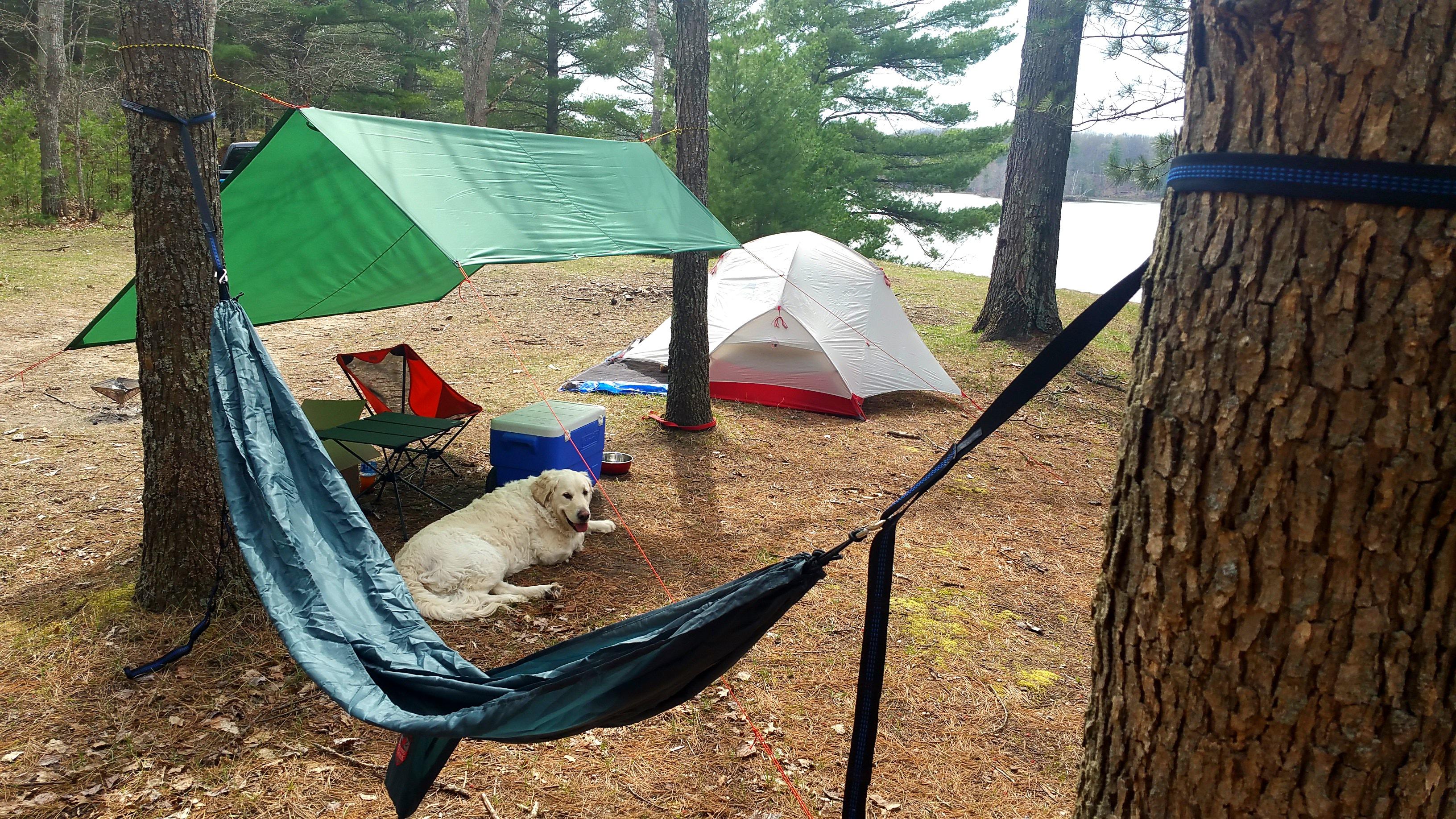 Pure Michigan | Scrolller