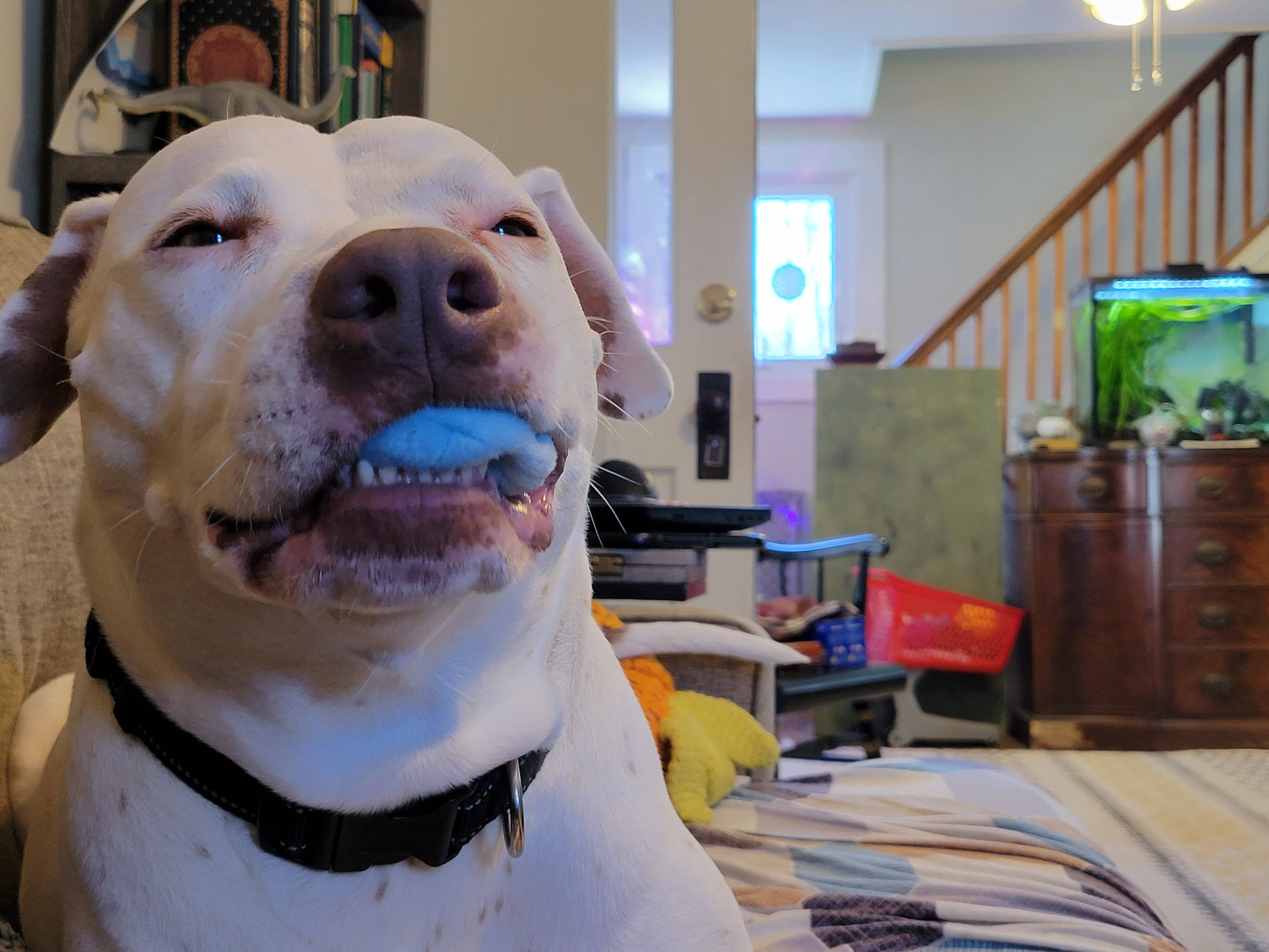 Pure satisfaction | Scrolller