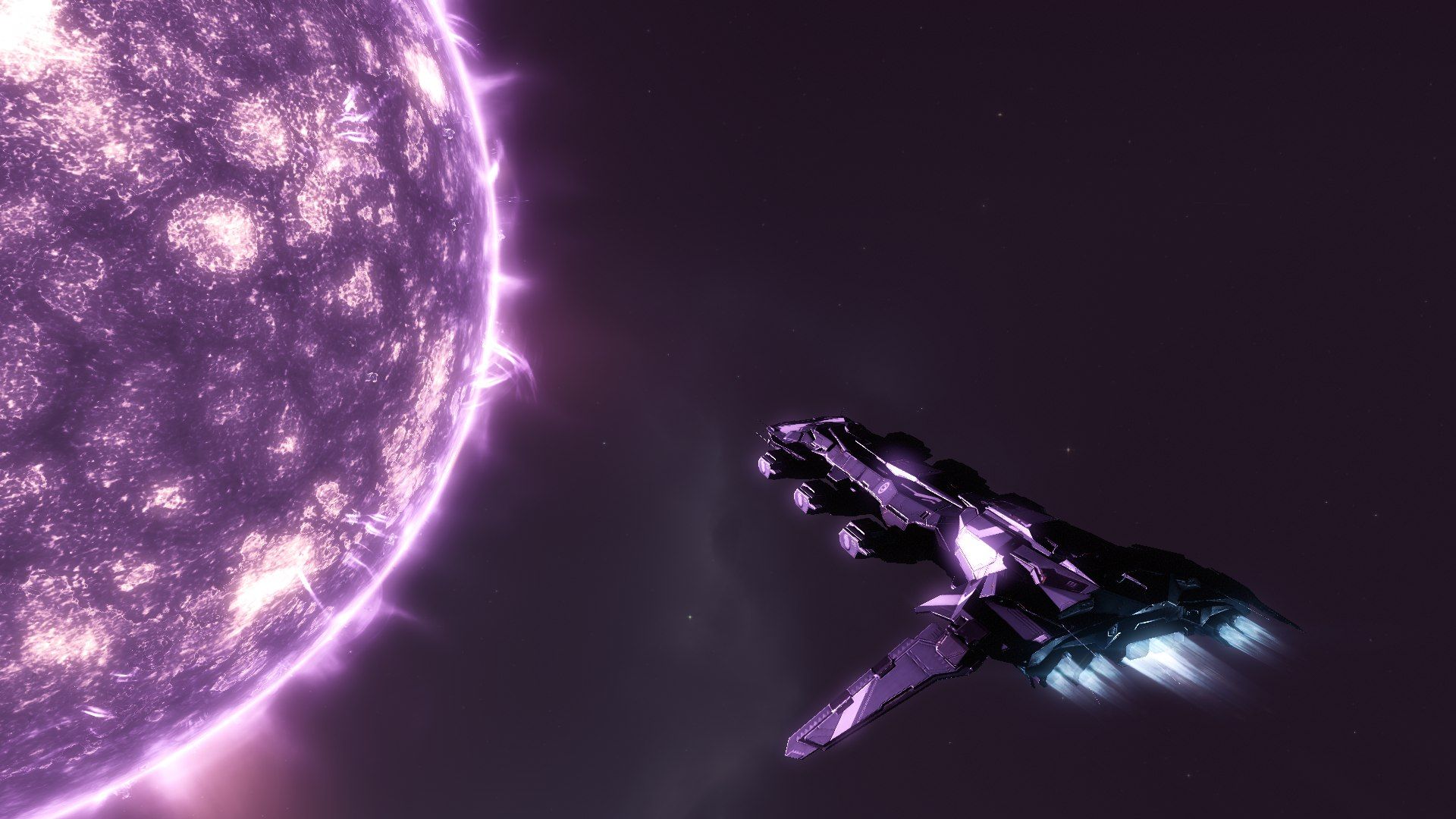 Purple beauty [1920x1080] | Scrolller