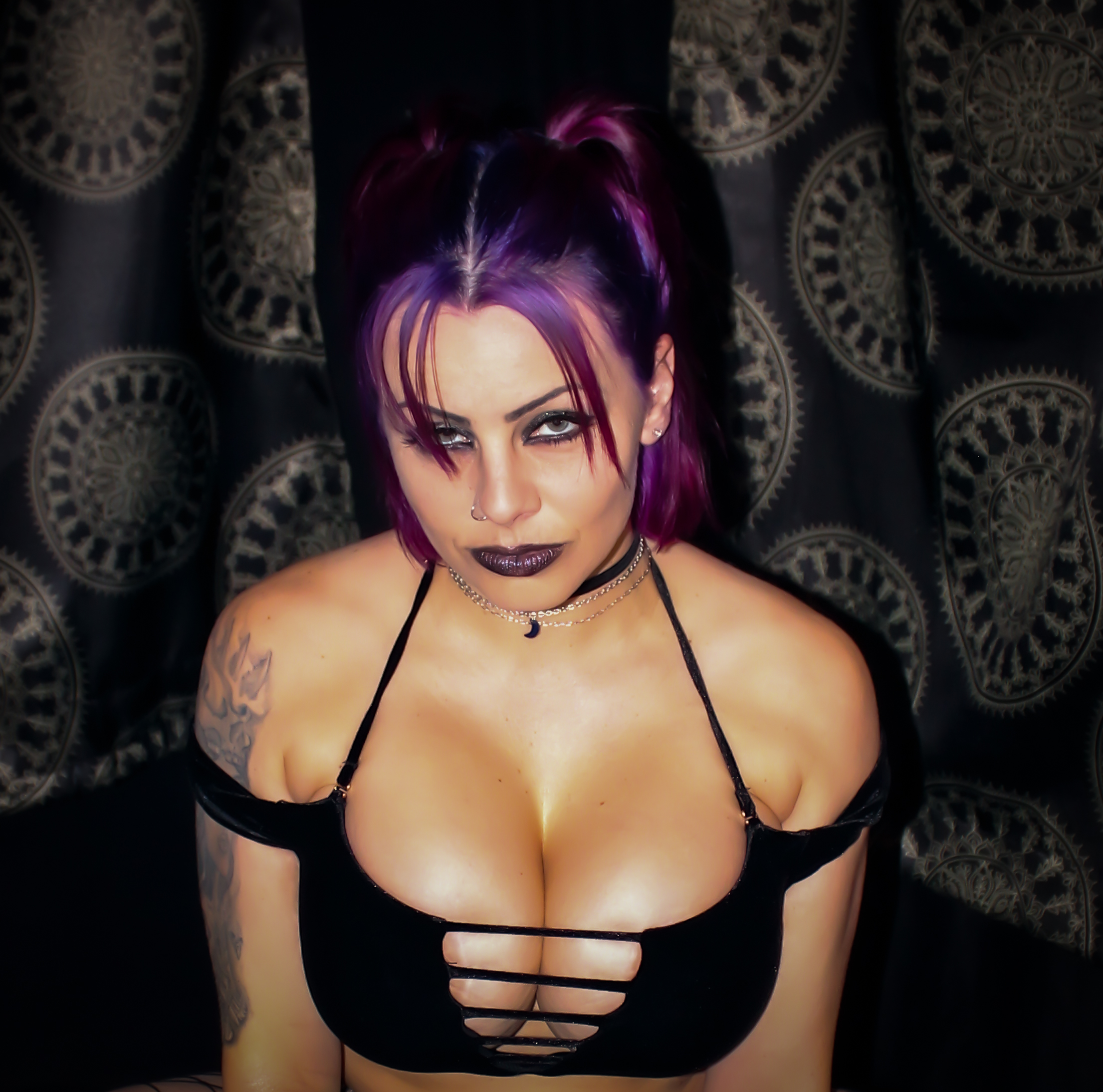 Stuck in a purple phase | Scrolller