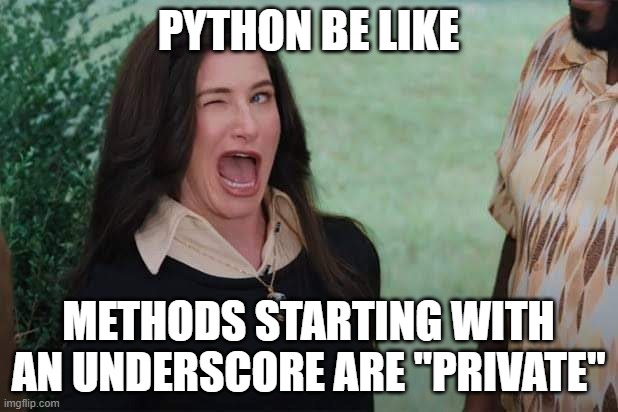 Python be like | Scrolller