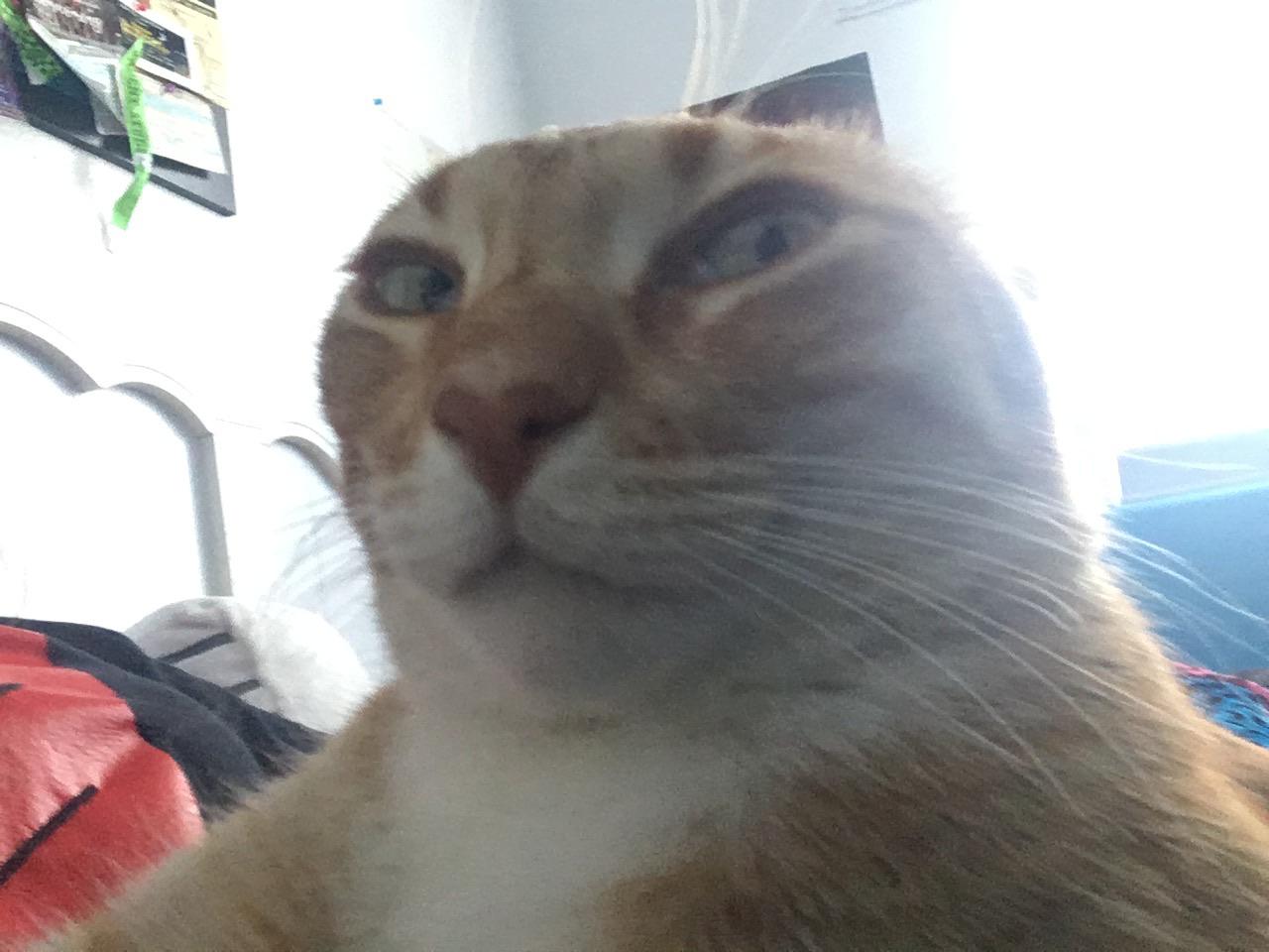 Quality time | Scrolller