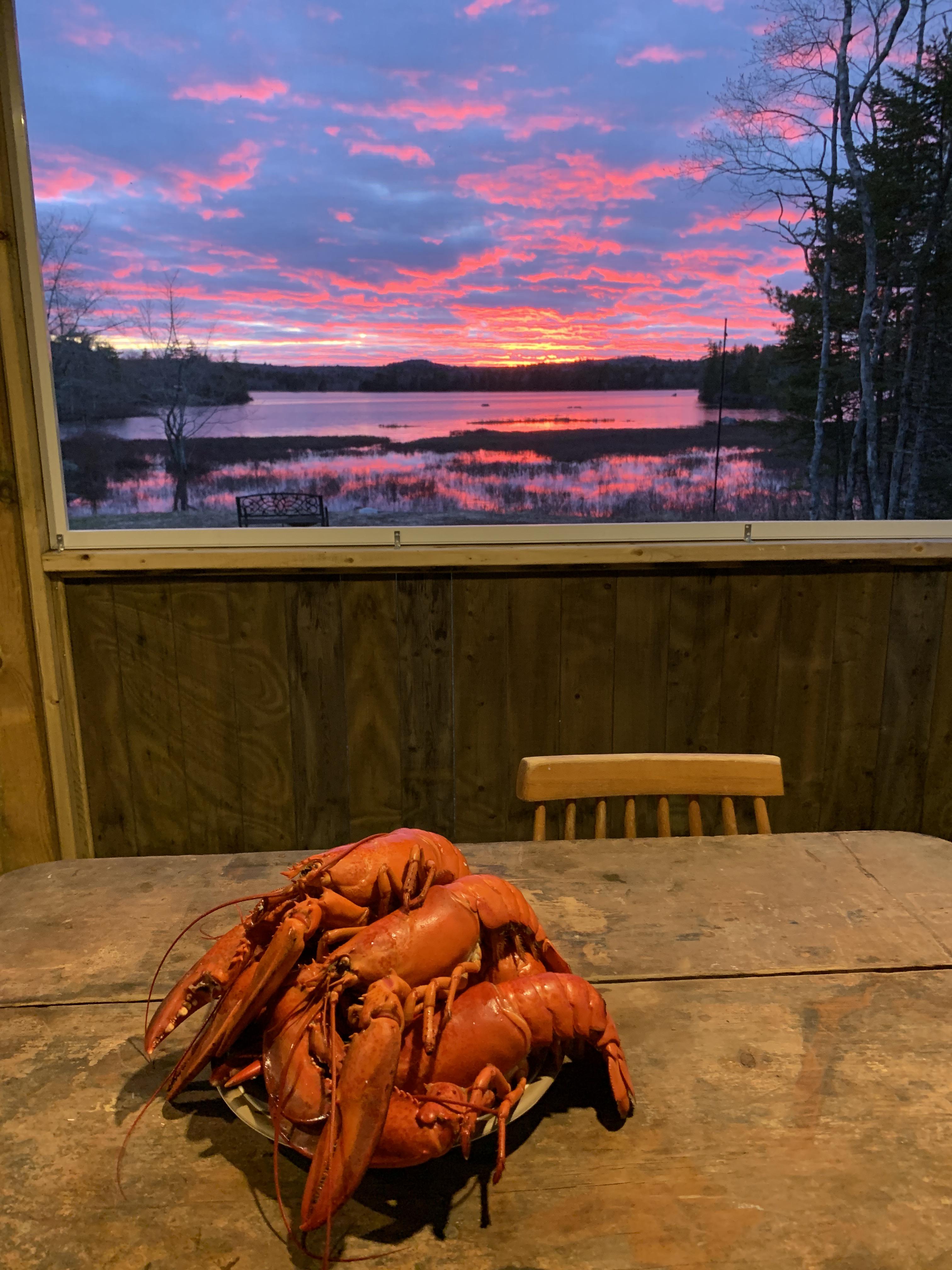 Quarantine can be okay under the right conditions | Scrolller