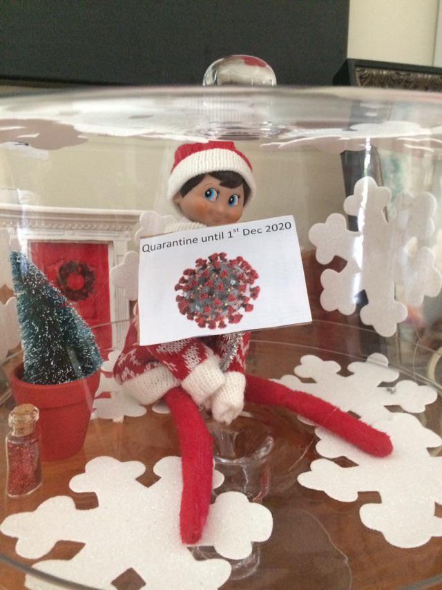 Quarantined | Scrolller