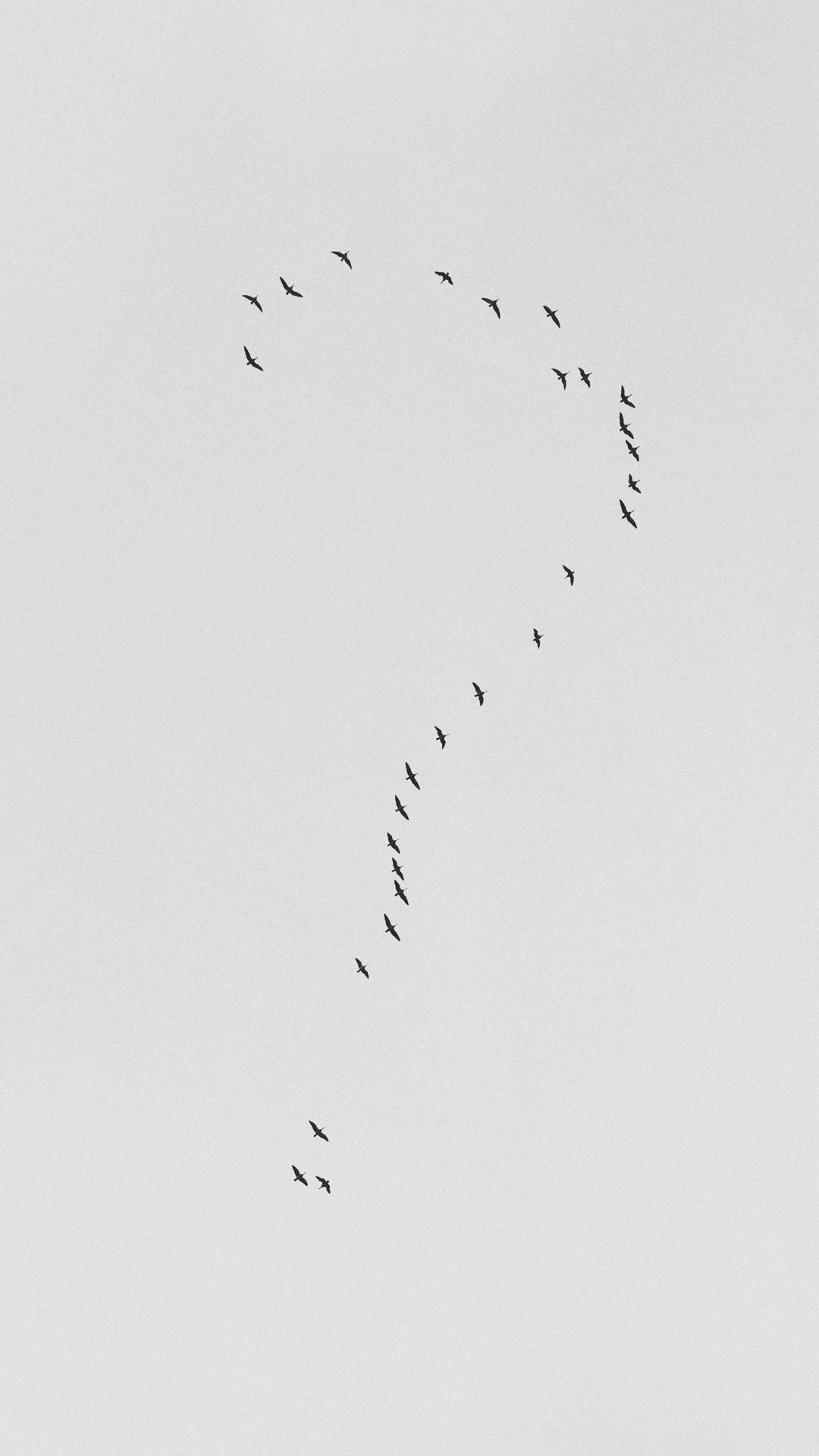 Questions [1080x1920] | Scrolller