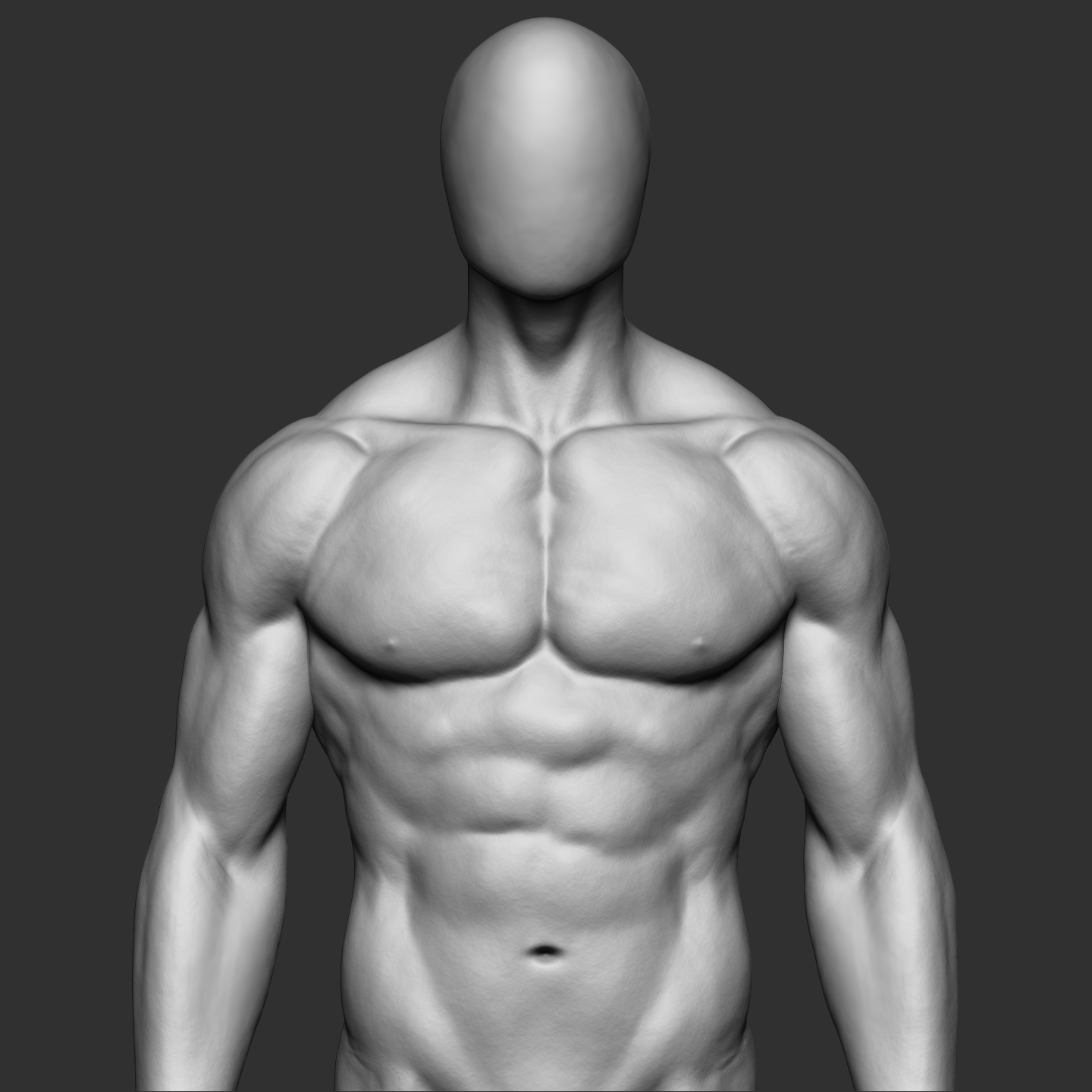 Quick Anatomy Study | Scrolller