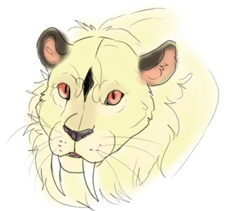 Quick Kirara Doodle I Did | Scrolller