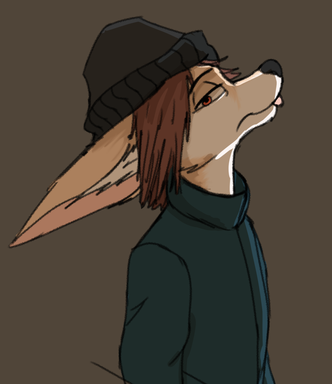 Quick sketch of my fennec [byme] | Scrolller