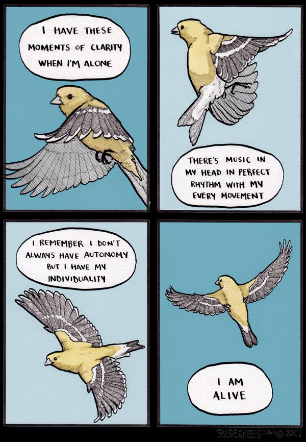 Quiet moments of contemplation | Scrolller