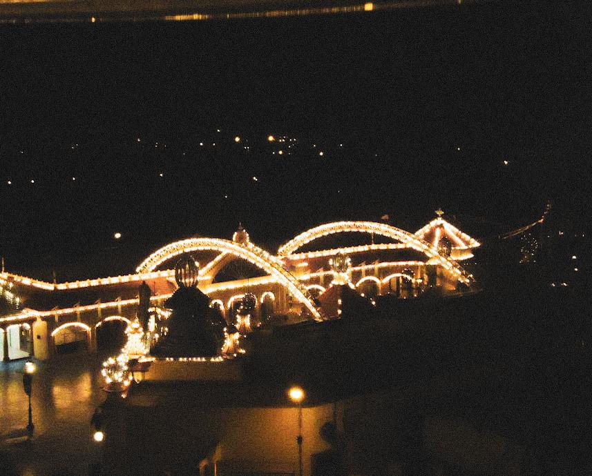 Quiet night at the park | Scrolller