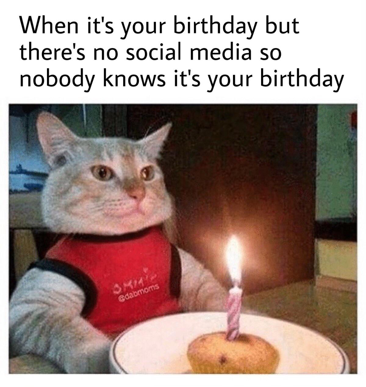 quite a difference | Scrolller