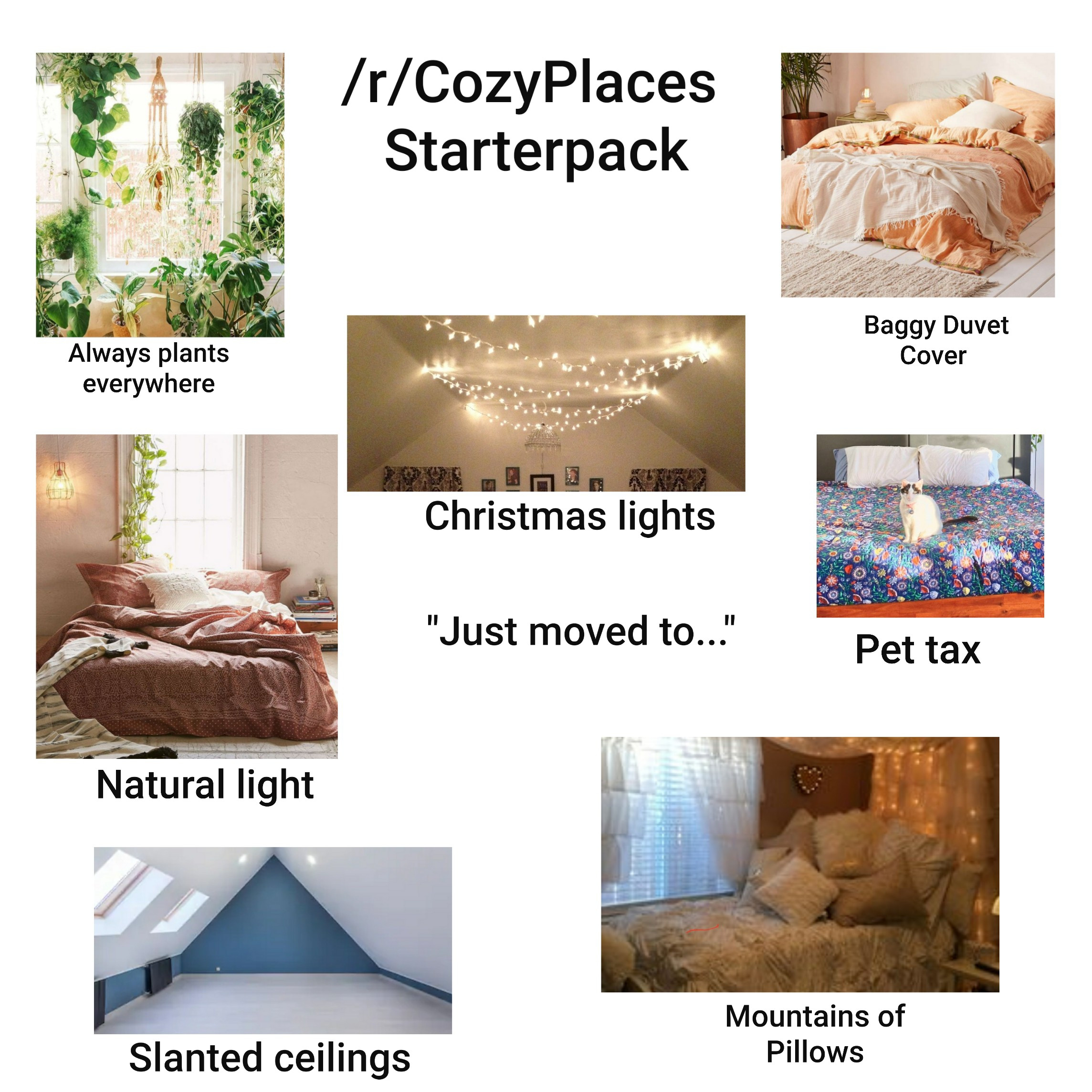 /r/CozyPlaces Starterpack | Scrolller