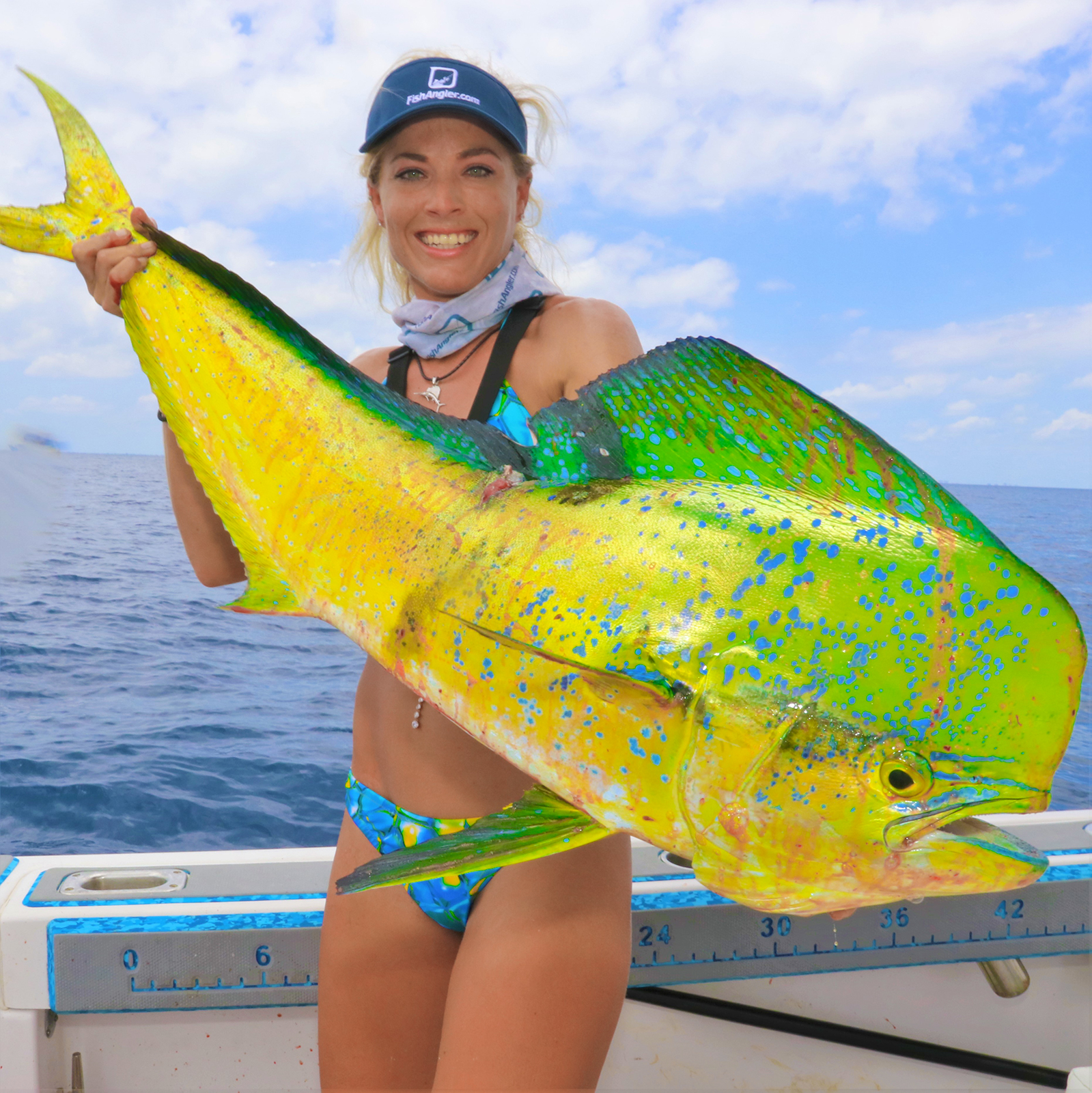 /r/Fishing: I caught my biggest Mahi Mahi ever! | Scrolller
