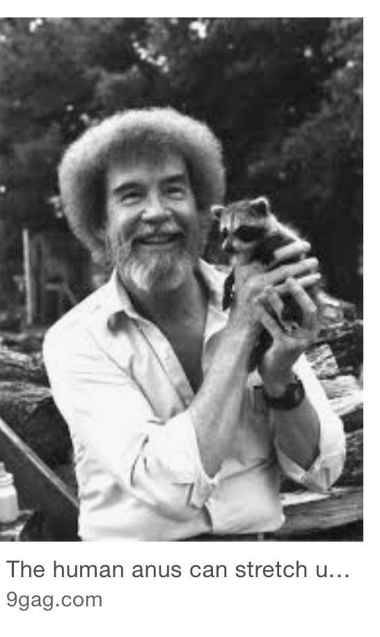 R U LE??’ !’ | Scrolller