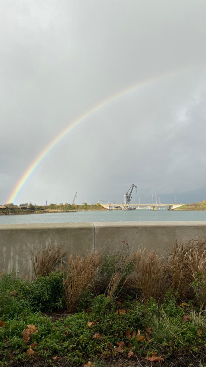 Rainbow over the M275 | Scrolller