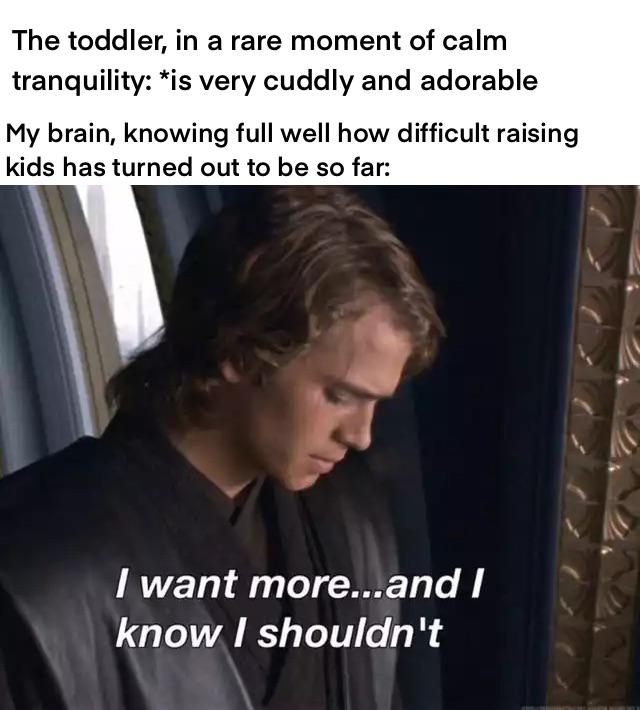 Raising a toddler described with prequel memes day 13 | Scrolller