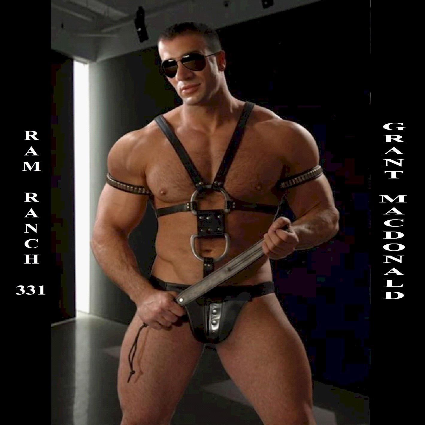 RAM RANCH 331 | Scrolller