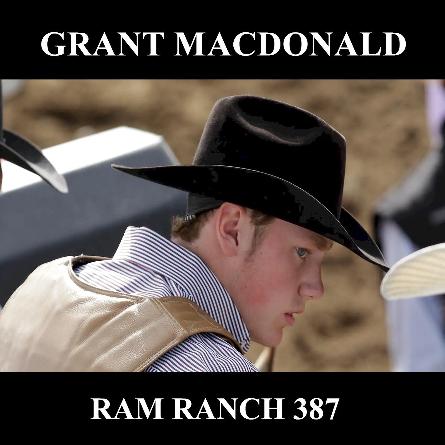 RAM RANCH 387 | Scrolller