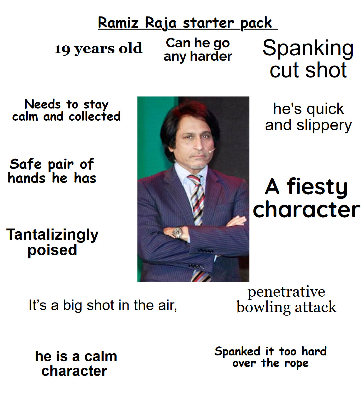 Ramiz Raja Starter pack | Scrolller