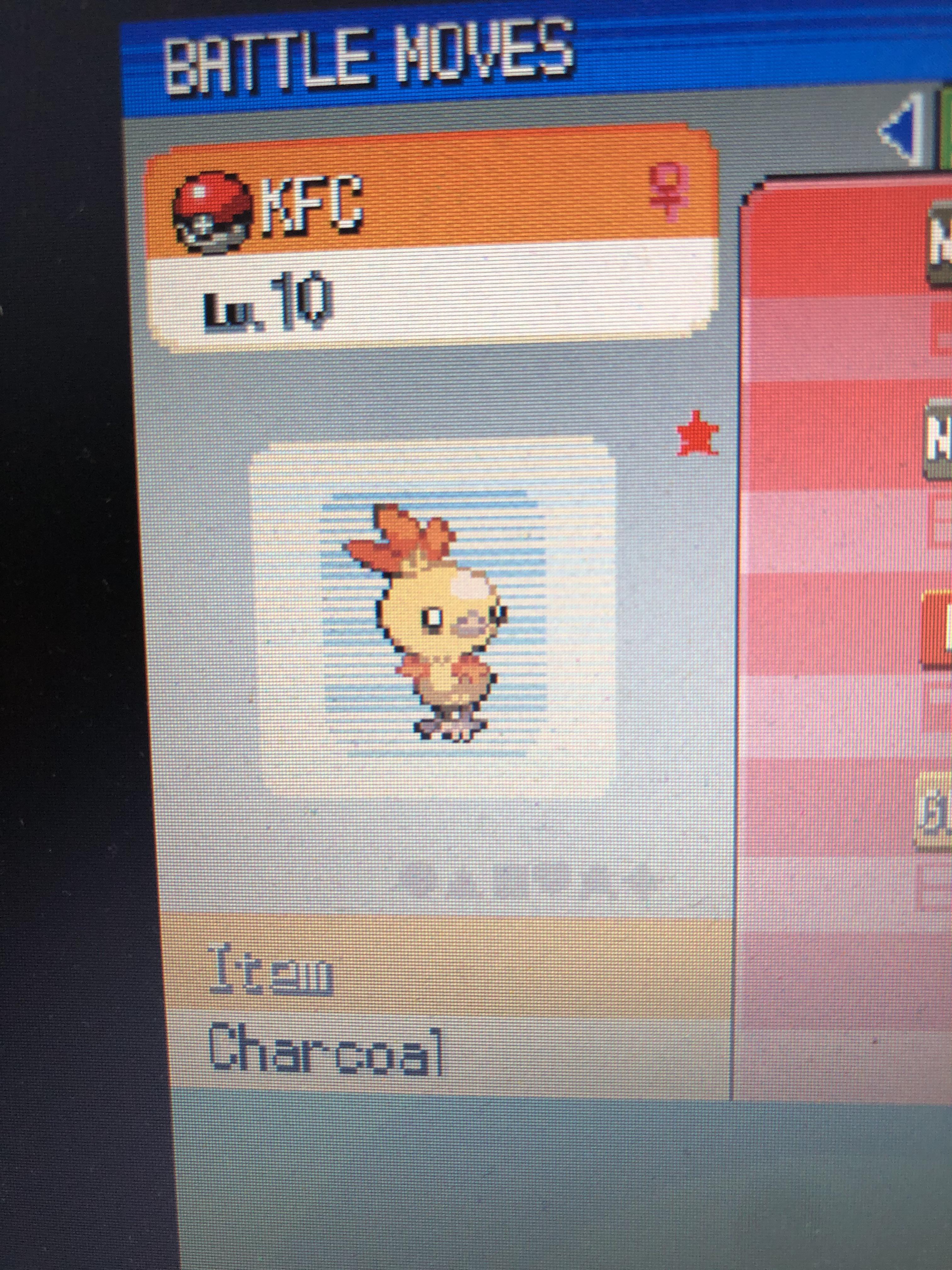 Random Shiny torchic in renegade platinum nuzzlocke | Scrolller