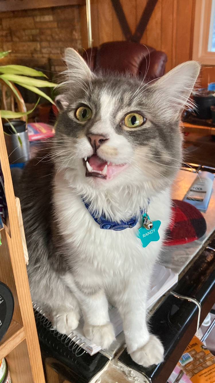 Randy says hi! | Scrolller