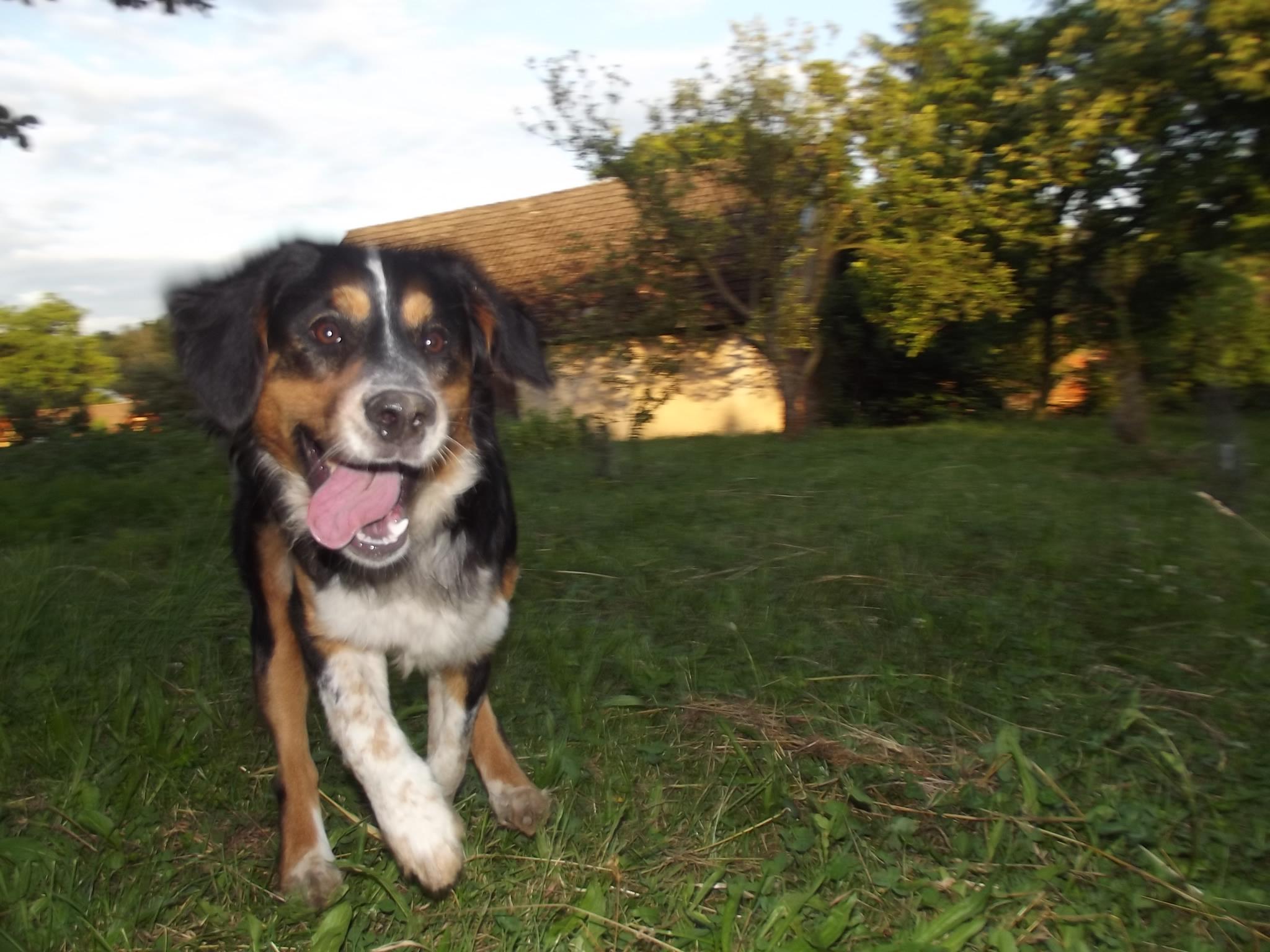 Rare craziness capture | Scrolller