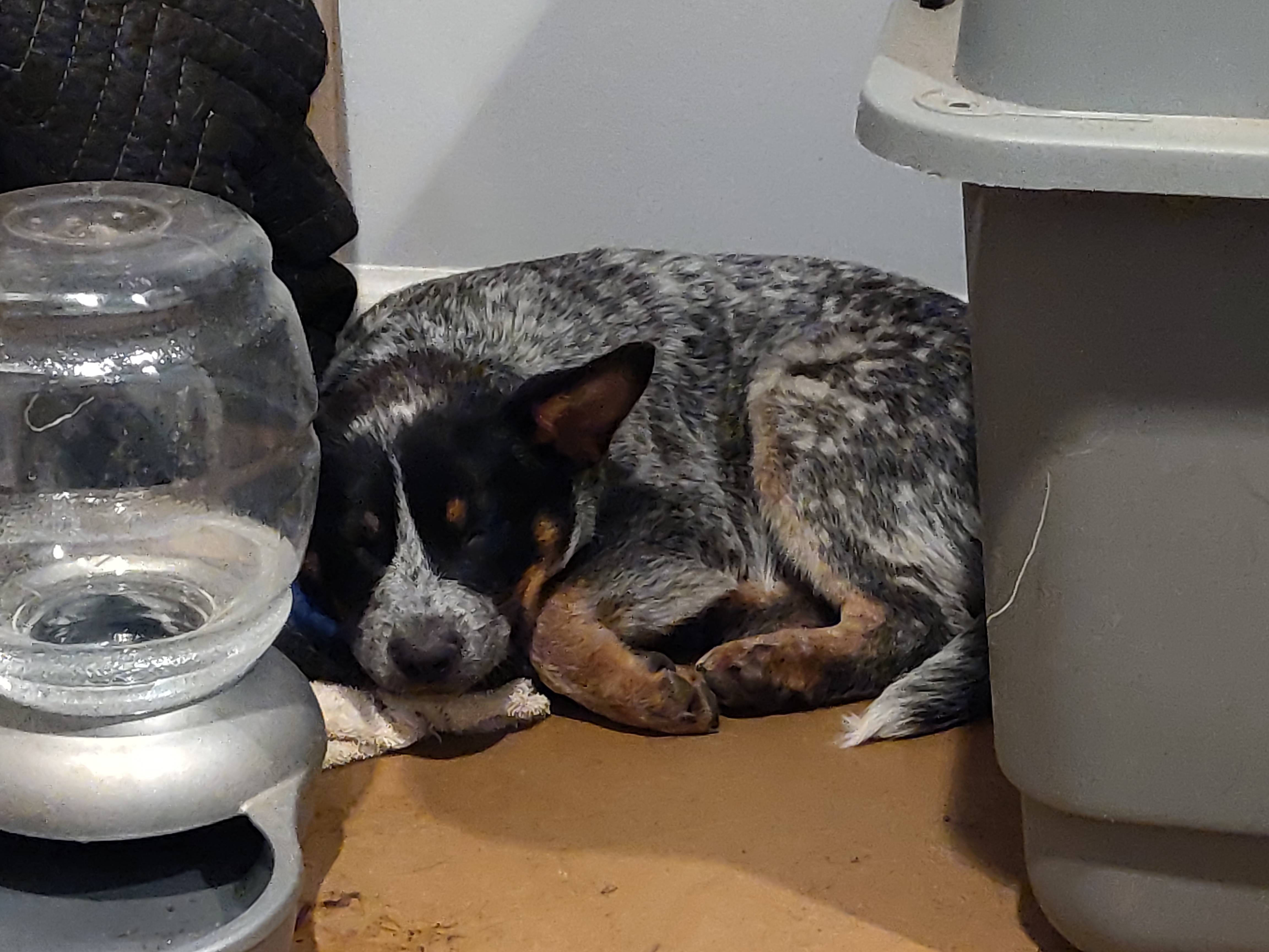 Rare moment of calm | Scrolller