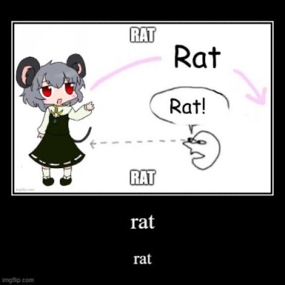 Rat | Scrolller