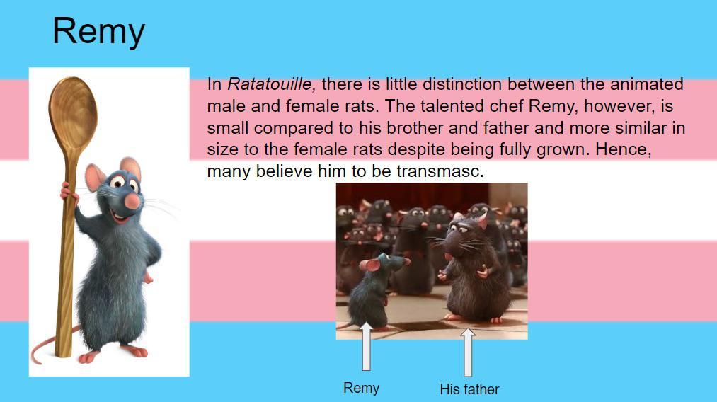 Rat rule | Scrolller