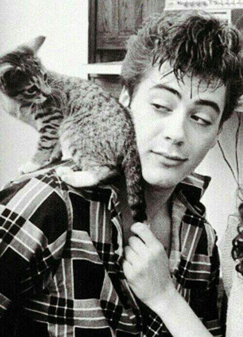 RDJ and a kitten. | Scrolller