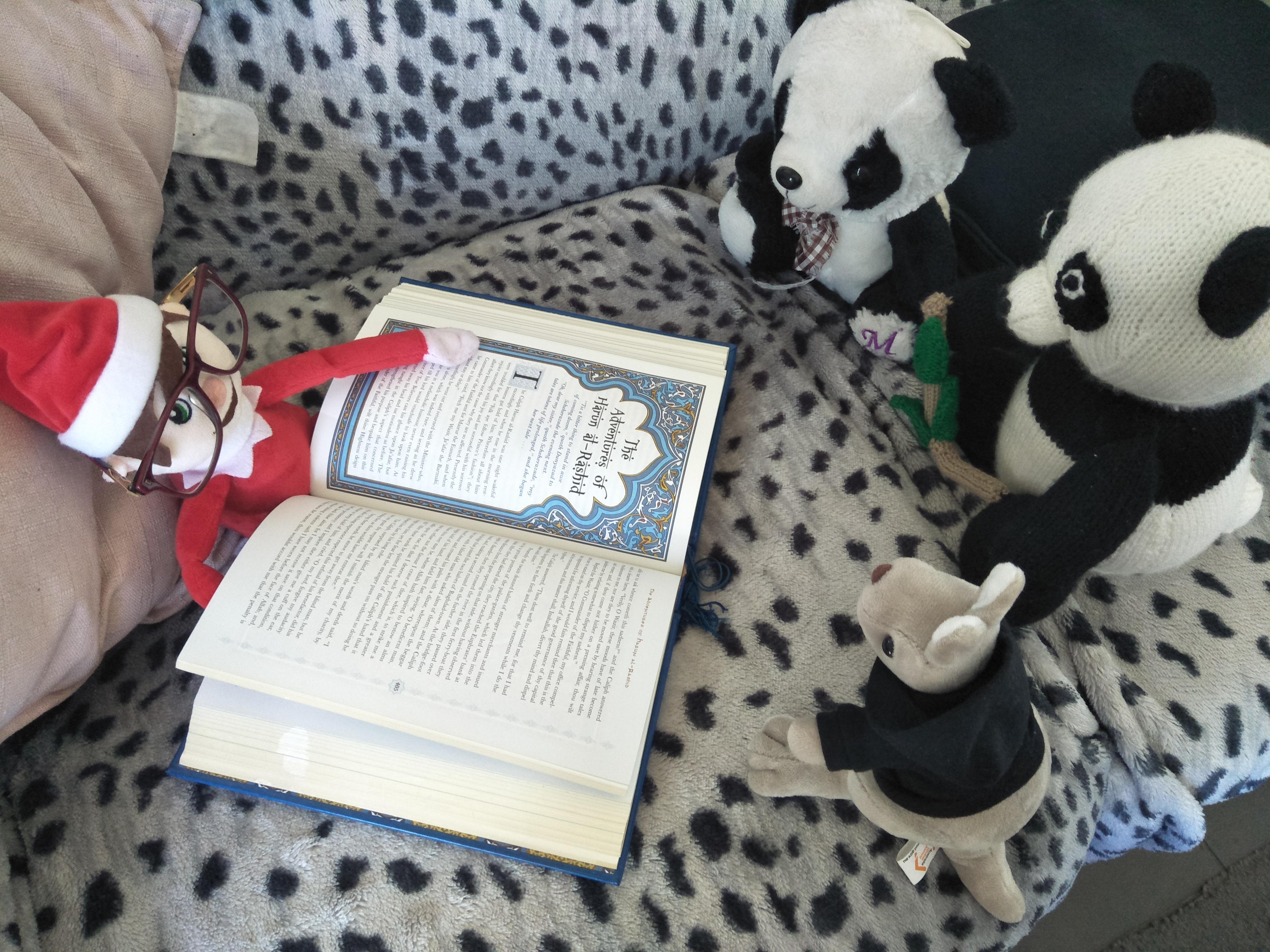 Reading a bed time story! | Scrolller