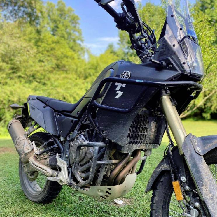 Ready for battle with these guards | Scrolller