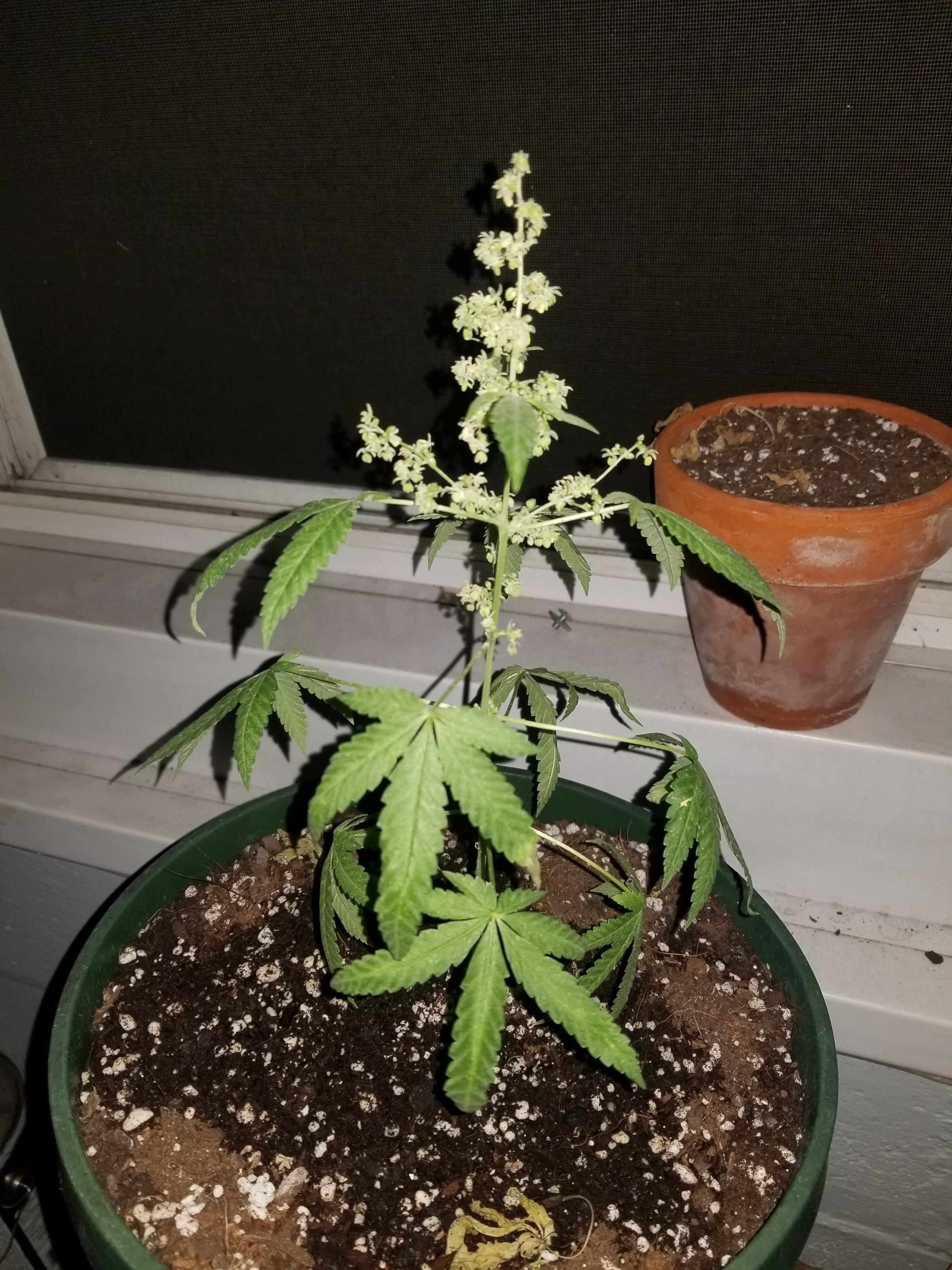 Ready for chop? | Scrolller