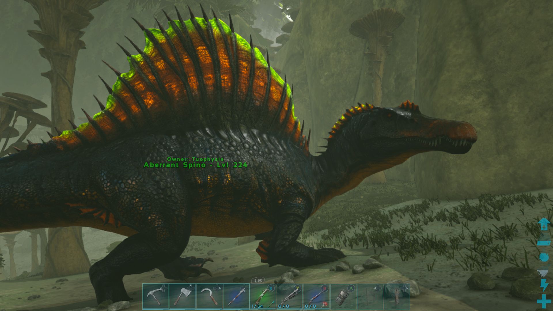 Really proud of taming this. | Scrolller