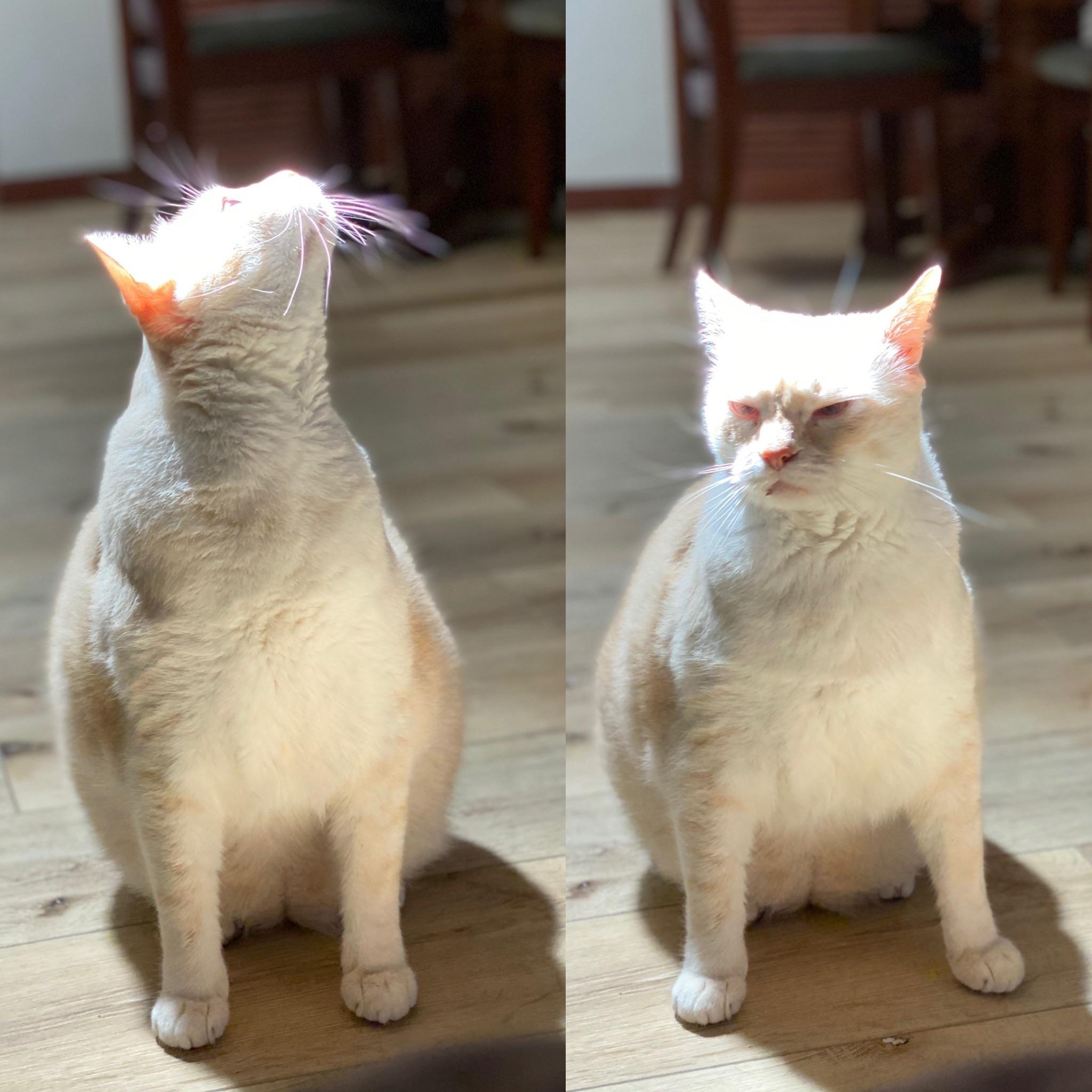 Recharging Murder Vibes | Scrolller