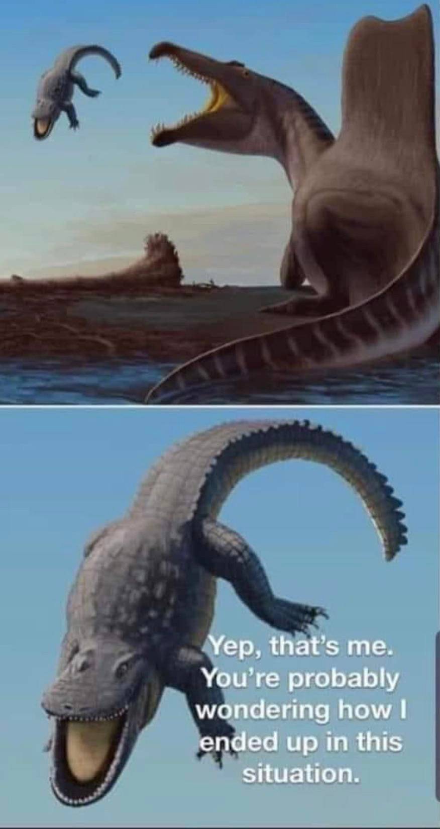 record scratch | Scrolller