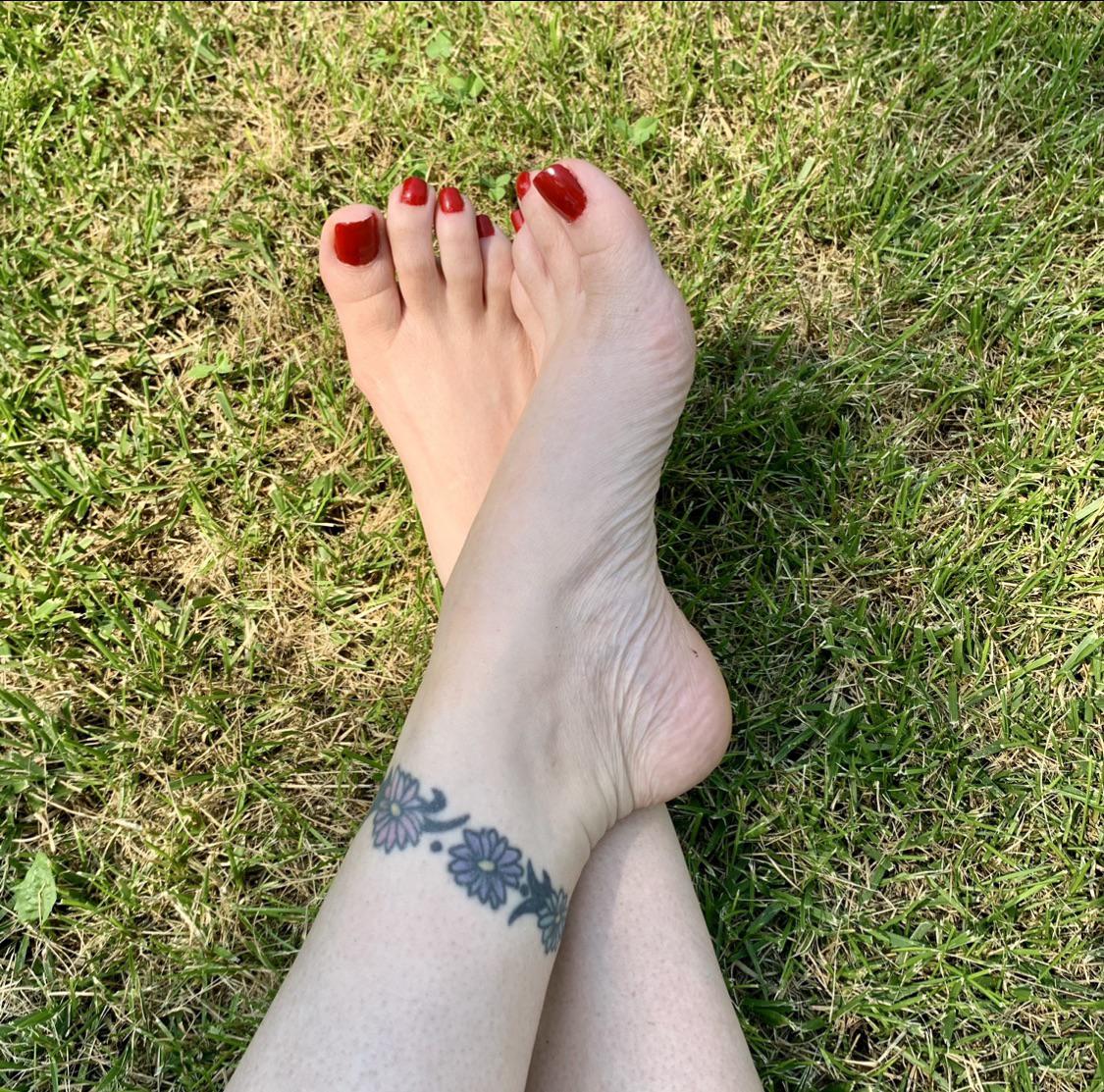 Red really is an attention grabber! | Scrolller