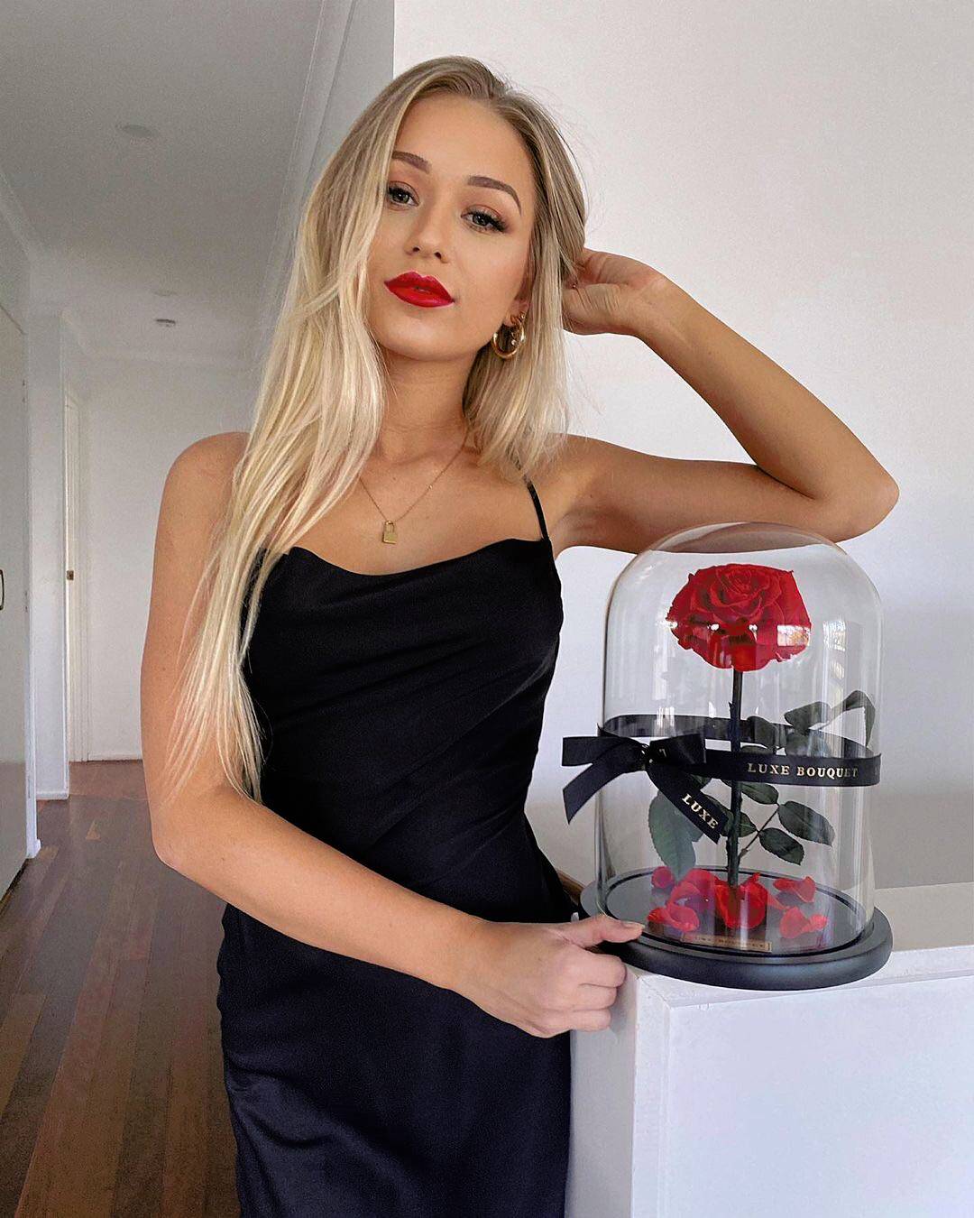 Red Rose | Scrolller