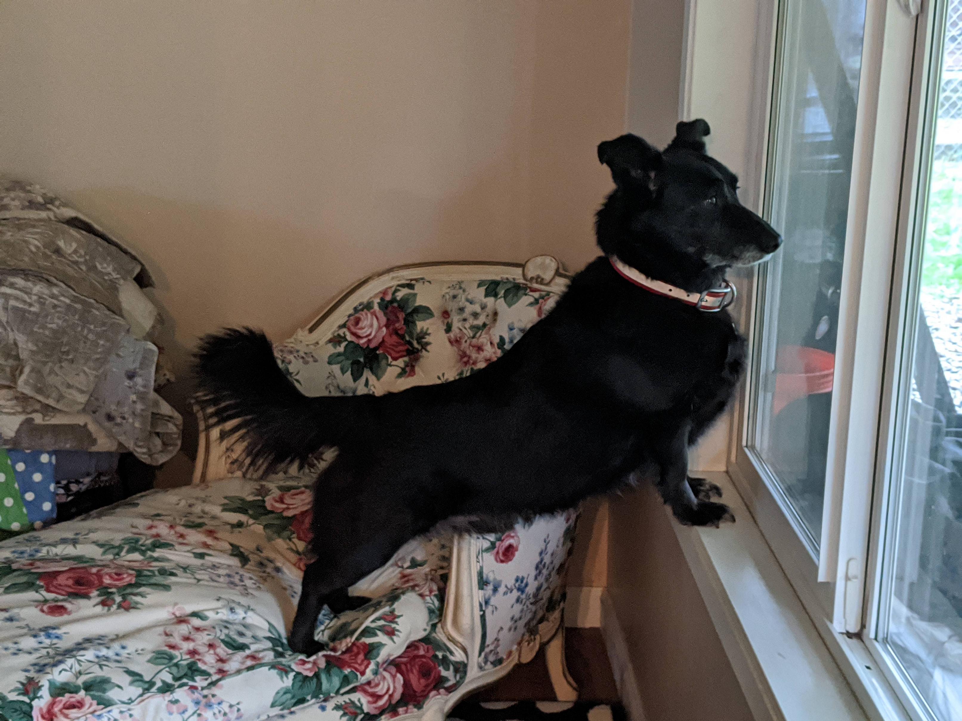 Reddit, meet Bruce Wayne. He's the protector our neighborhood deserves. | Scrolller