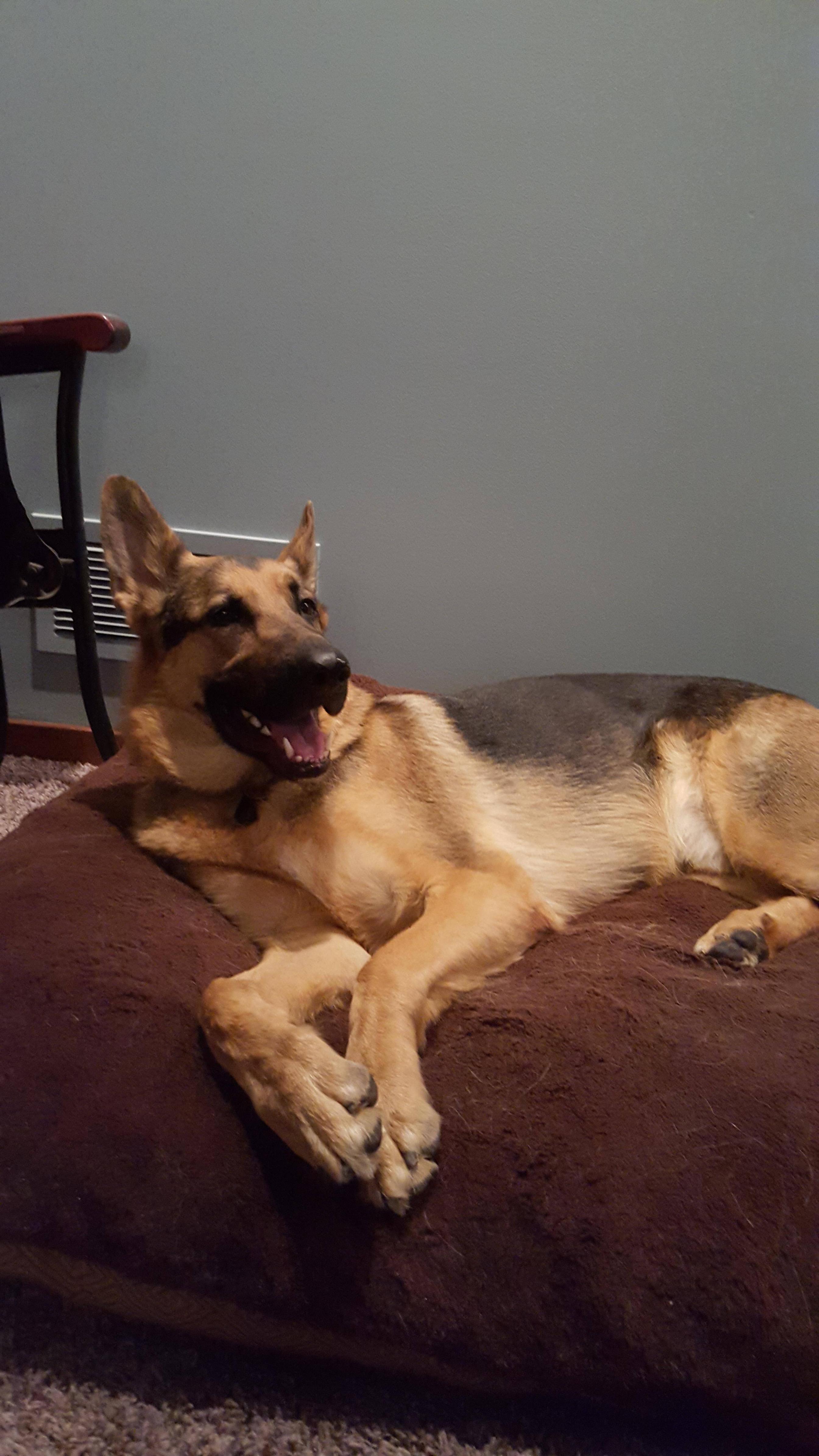 Reddit meet otto | Scrolller