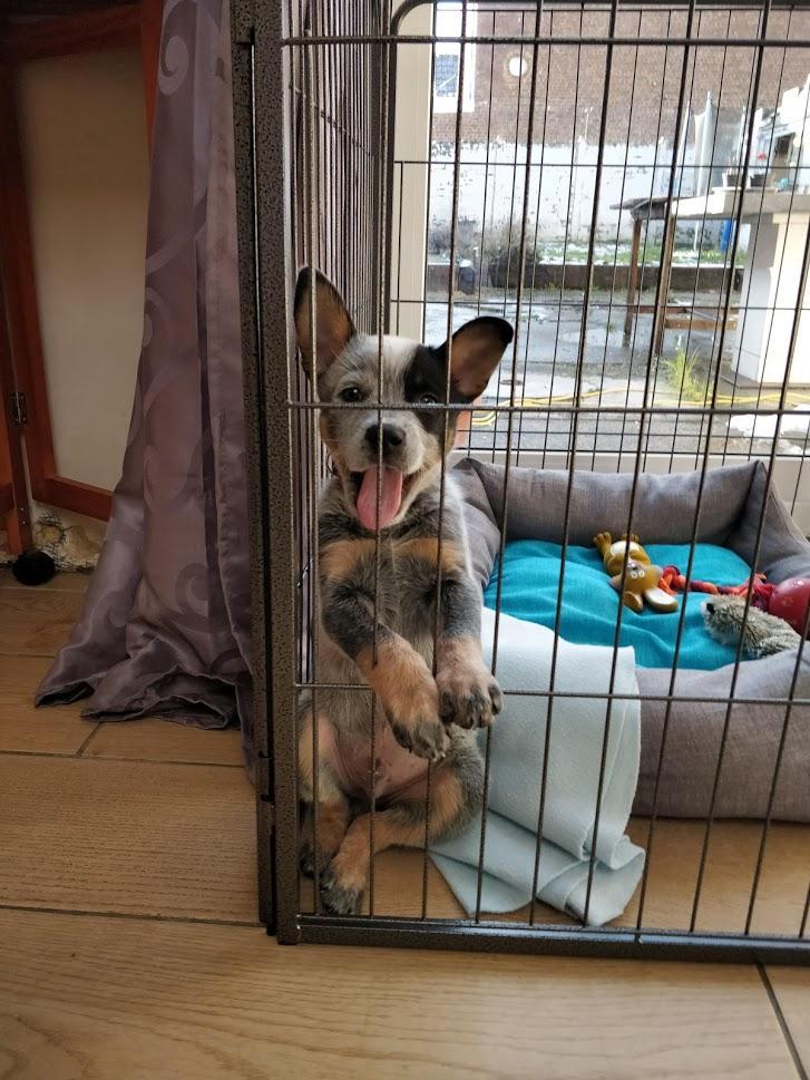 Redditors, say hello to Rorschach! | Scrolller