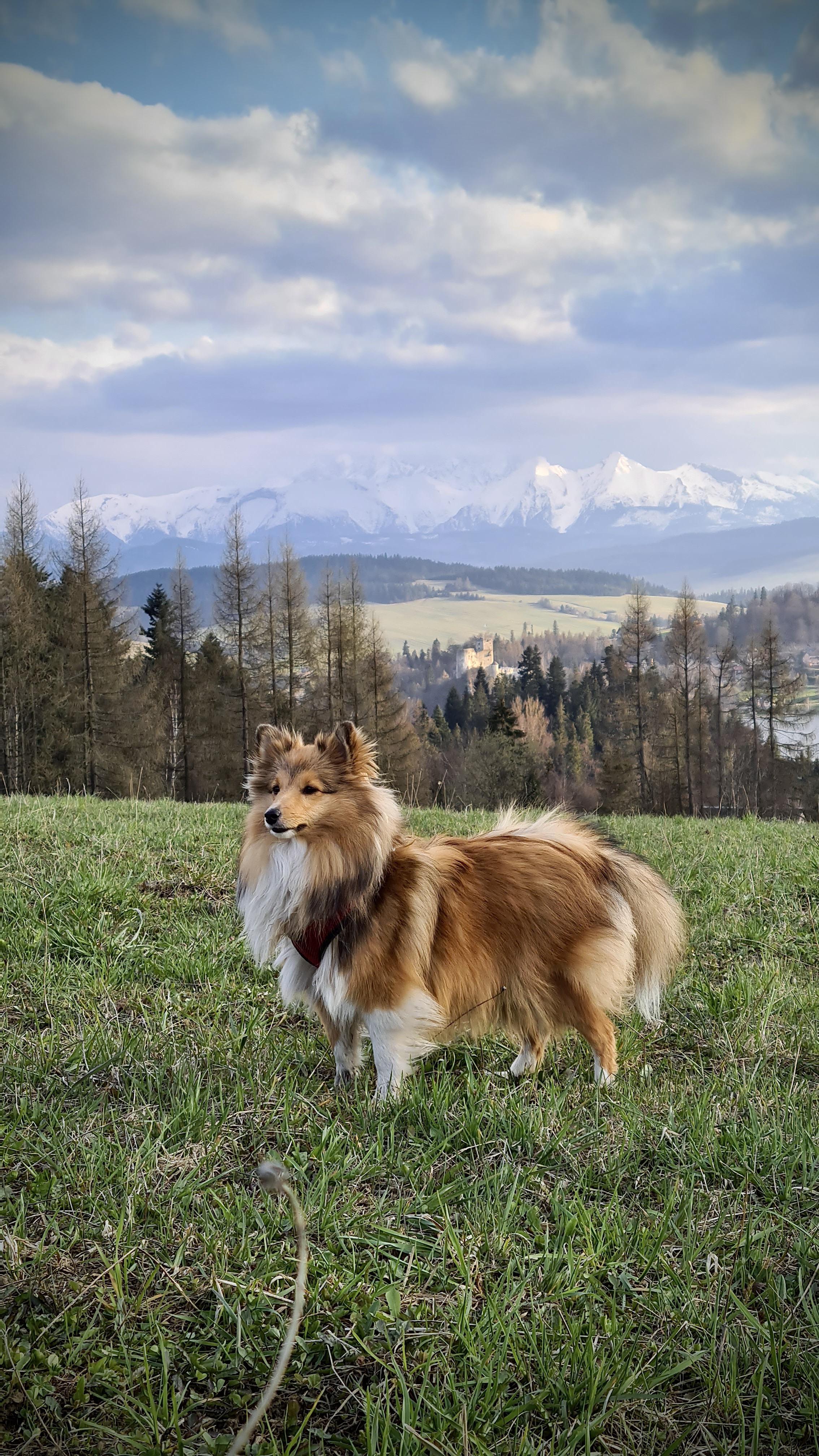 Regards from Poland! (Tatra Mountains) | Scrolller