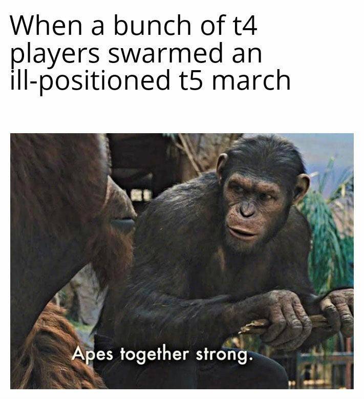 Reject humanity, return to monke | Scrolller