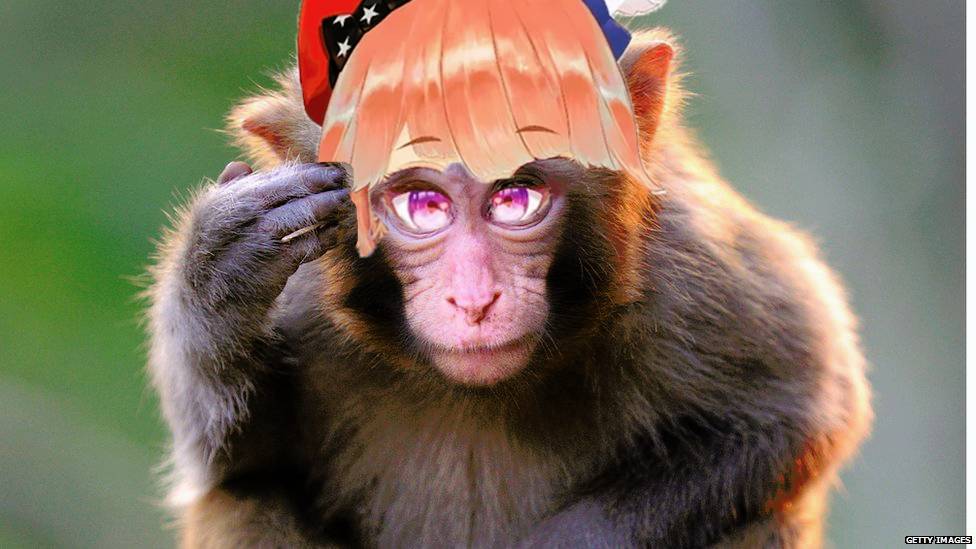 "Reject Machine Life, Return to Monke" - Takanashi Kiara 2021 | Scrolller