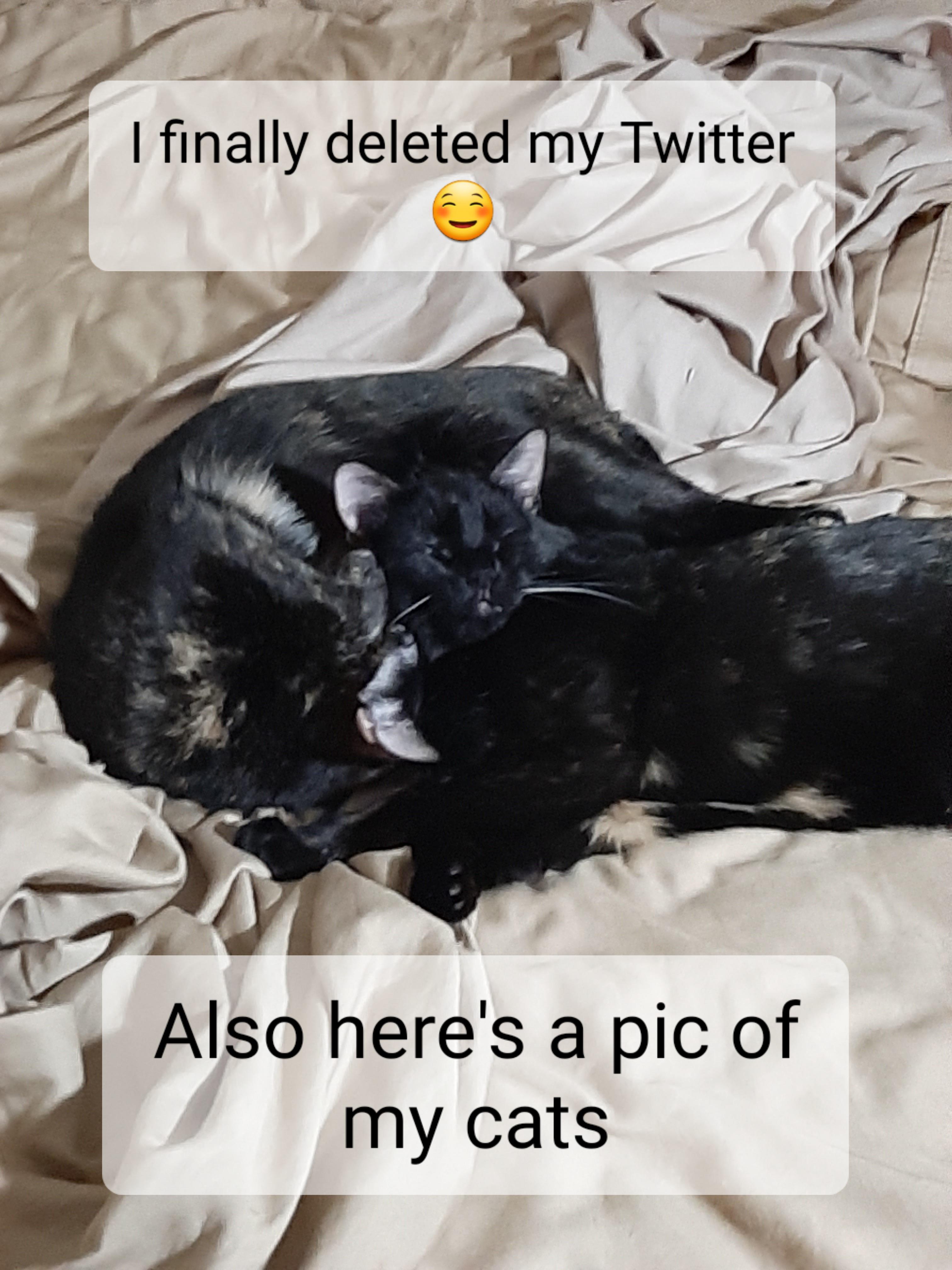 Relief rule | Scrolller